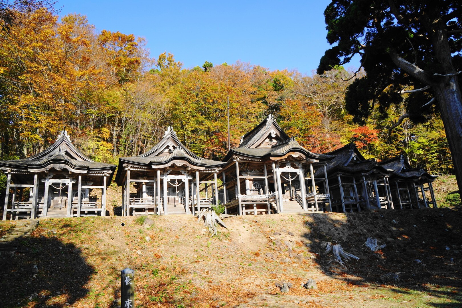 2024秋、五社堂から_毛無山・本山 / shunさんの男鹿半島の活動データ | YAMAP / ヤマップ