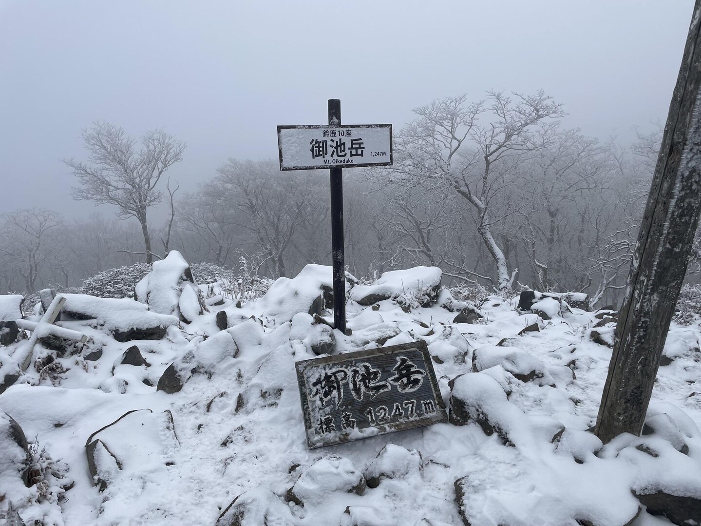 御池岳〜藤原岳 / Ryota.Zさんの藤原岳・御池岳の活動データ | YAMAP / ヤマップ