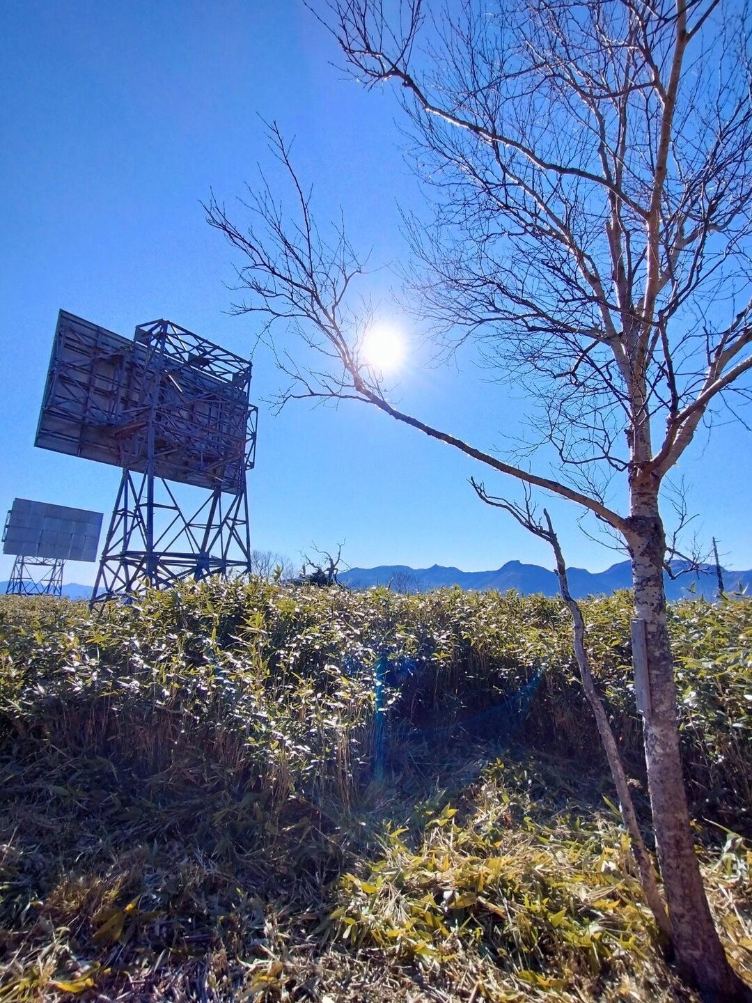 朝陽山 / kiyo-ibaさんのニセイカウシュッペ山・平山・朝陽山の活動データ | YAMAP / ヤマップ