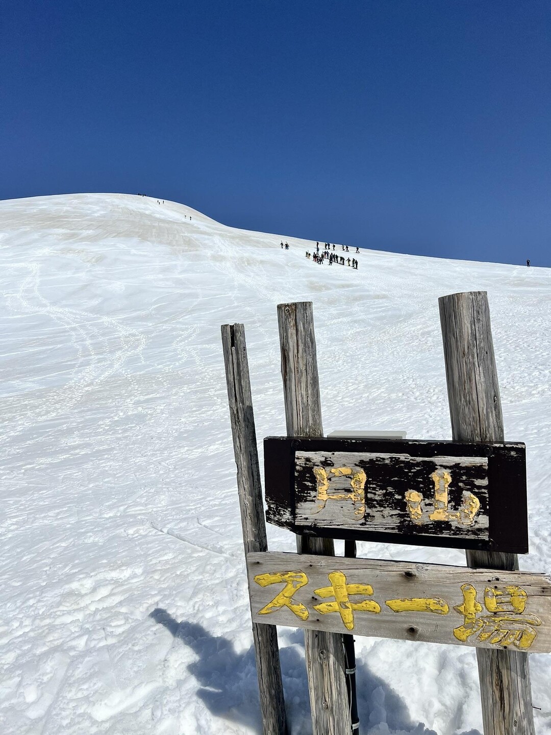 月山BC / chikaさんの月山の活動データ | YAMAP / ヤマップ