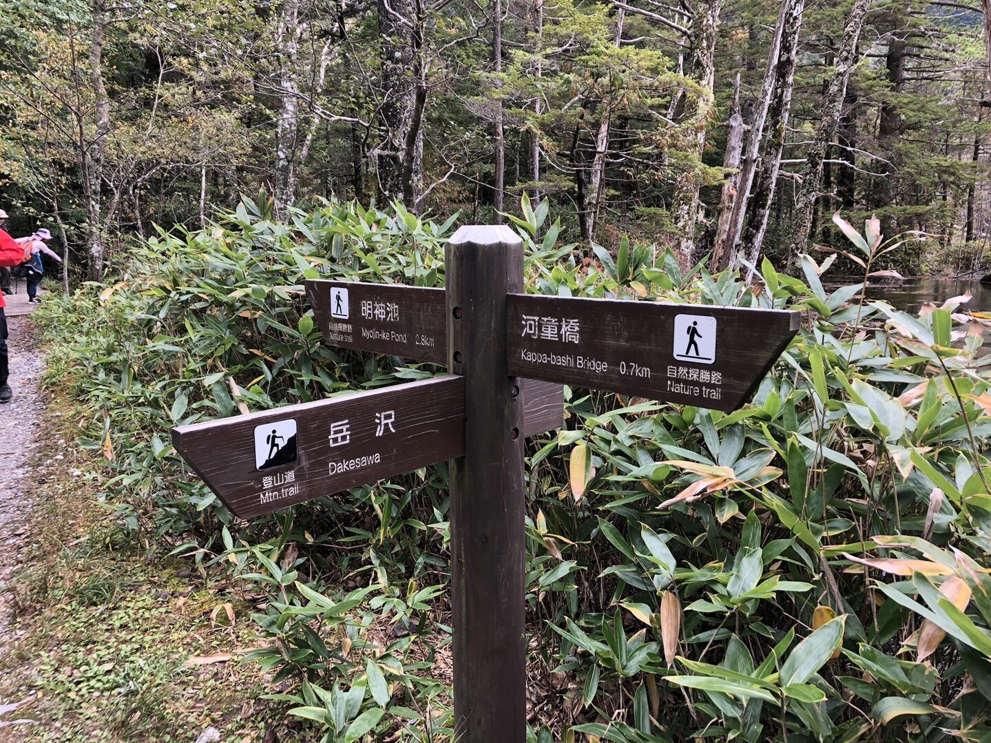 ノリッピさんの投稿したフィールドメモ | YAMAP / ヤマップ