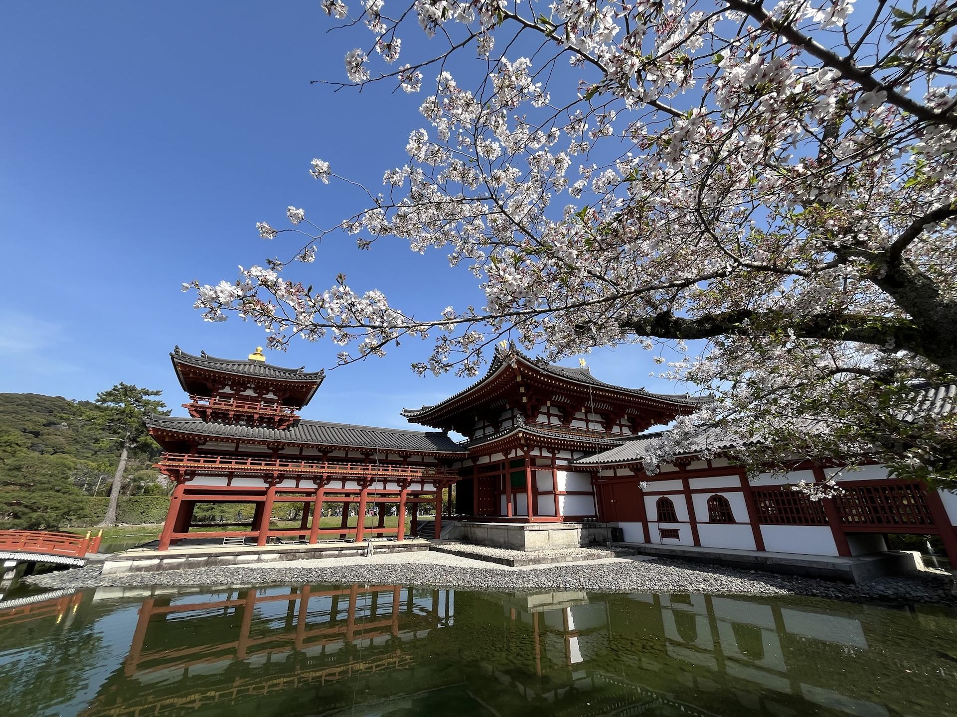京都② 平等院鳳凰堂🌸🌸🌸 / masakingさんの大吉山（仏徳山）・喜撰山の活動データ | YAMAP / ヤマップ