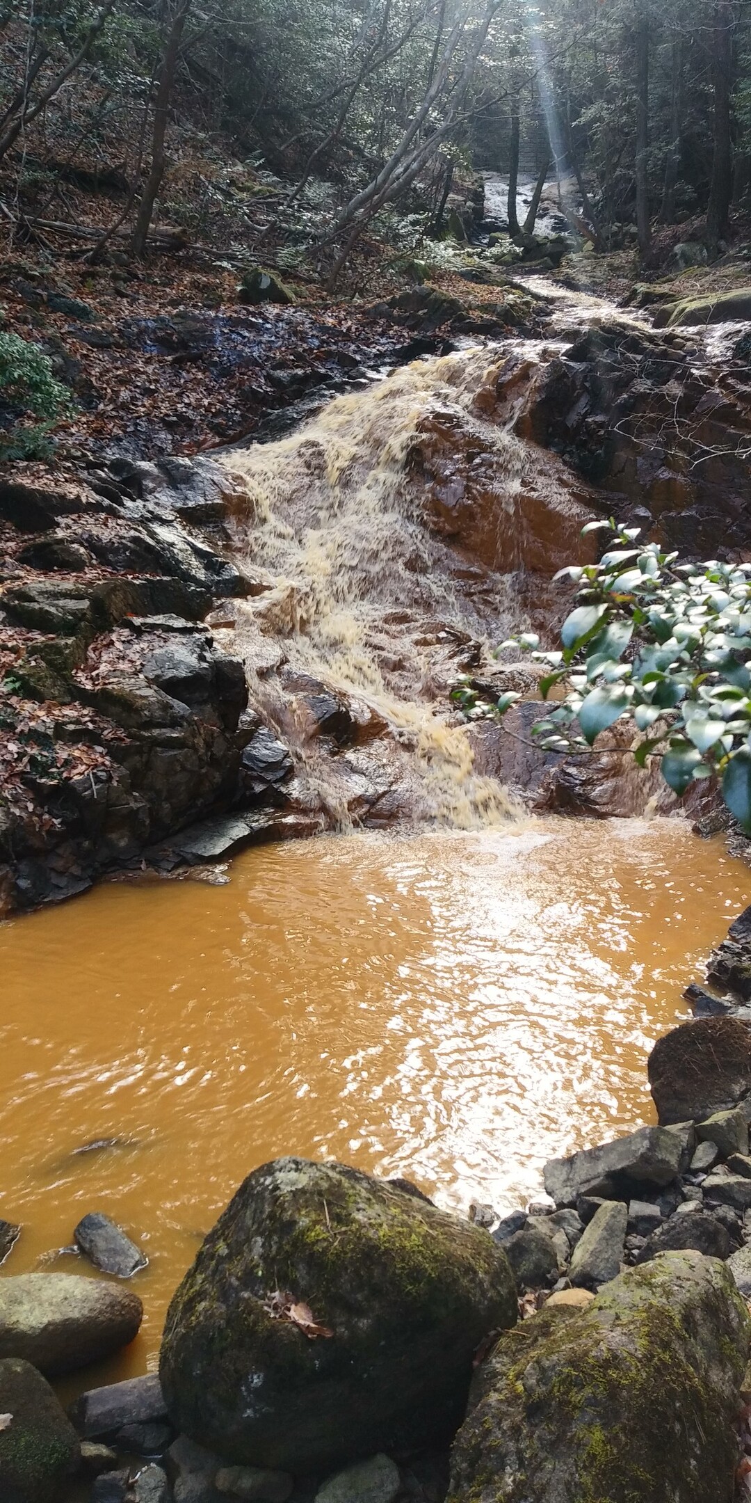 大池地獄谷温泉紀行♨️ / naokorinさんの六甲山・長峰山・摩耶山の活動データ | YAMAP / ヤマップ