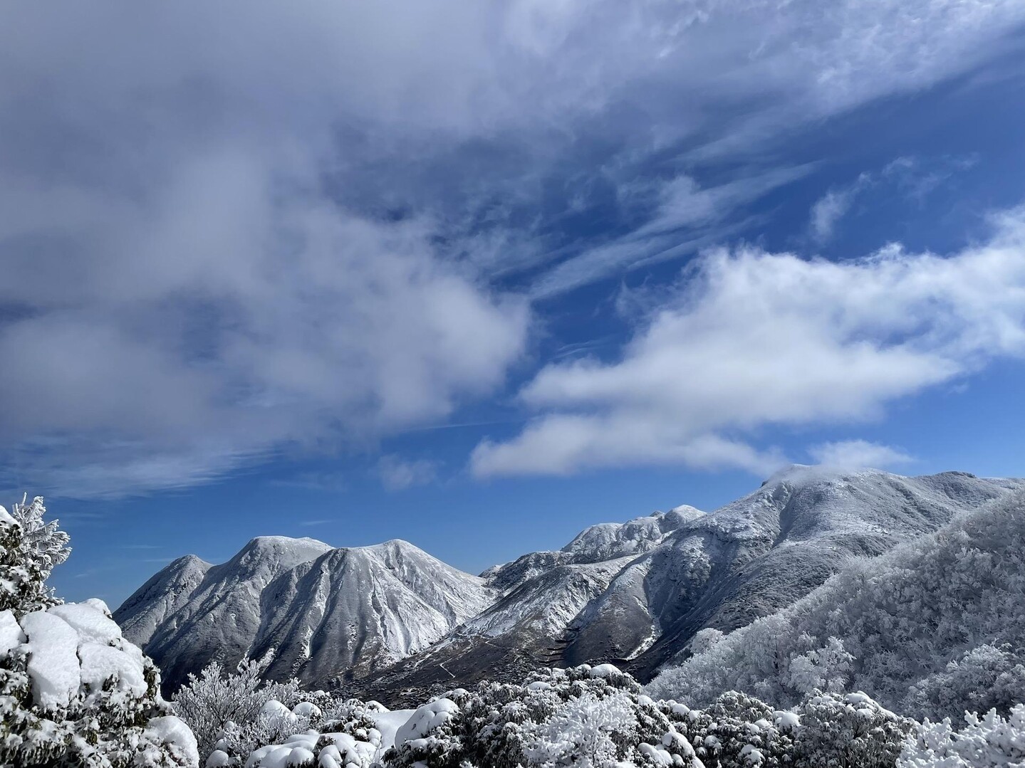 ホワイトくじゅう / Niko niko さんの九重山（久住山）・大船山・星生山の活動データ | YAMAP / ヤマップ