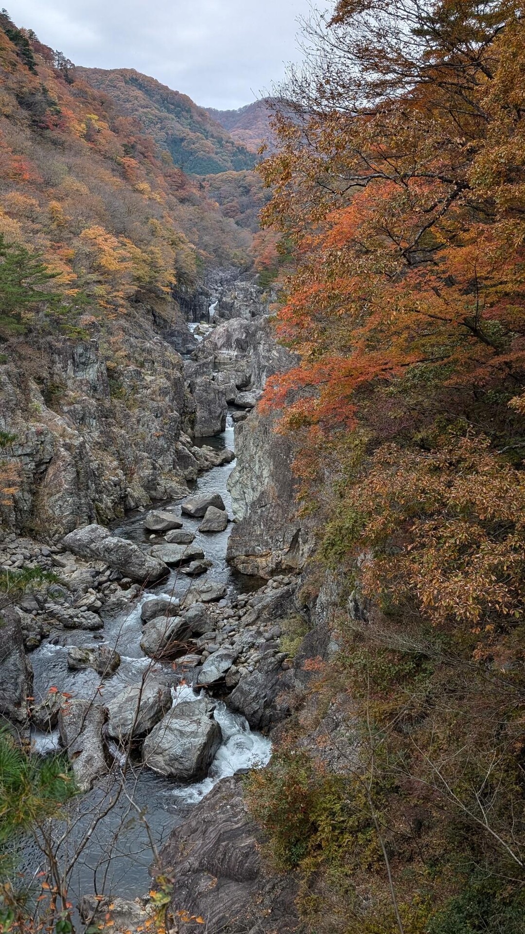 龍王峡 ~晩秋の紅葉狩り~ / nonnon99さんのウォーキングの活動データ | YAMAP / ヤマップ