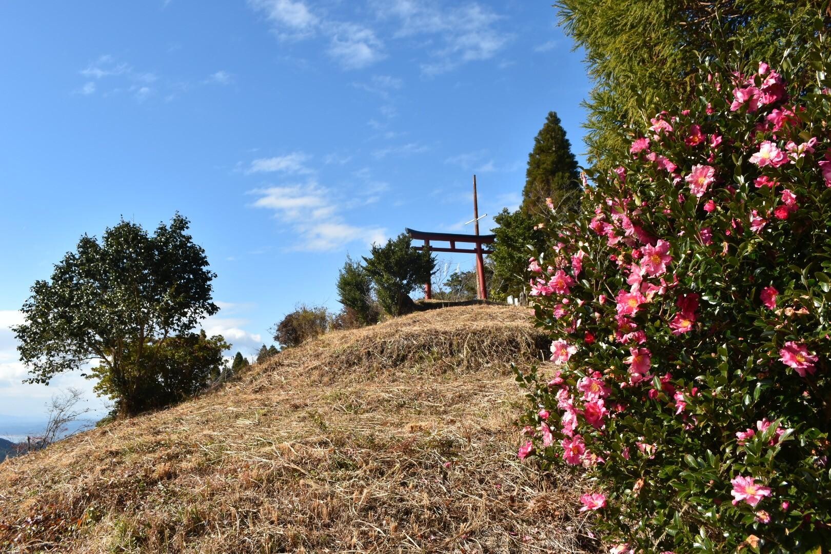 志布志② 笠祇岳 / shoさんの志布志市の活動データ | YAMAP / ヤマップ