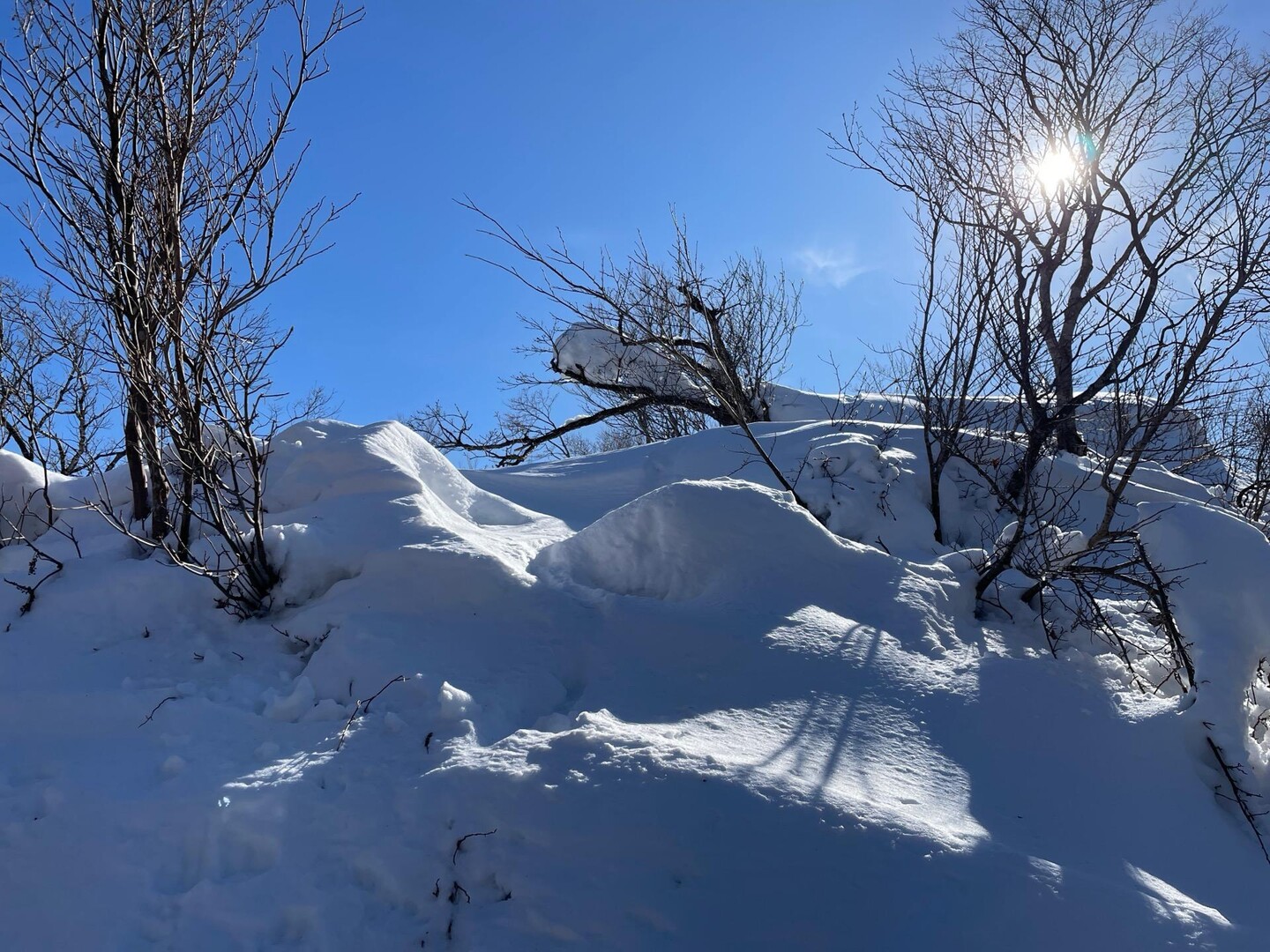 19日（日）の超絶景♪ ↓19日（日）... / JOG太郎さんのモーメント | YAMAP / ヤマップ