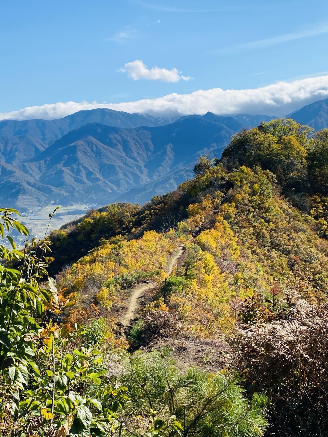 坂戸山 / tatatuさんの坂戸山の活動データ | YAMAP / ヤマップ