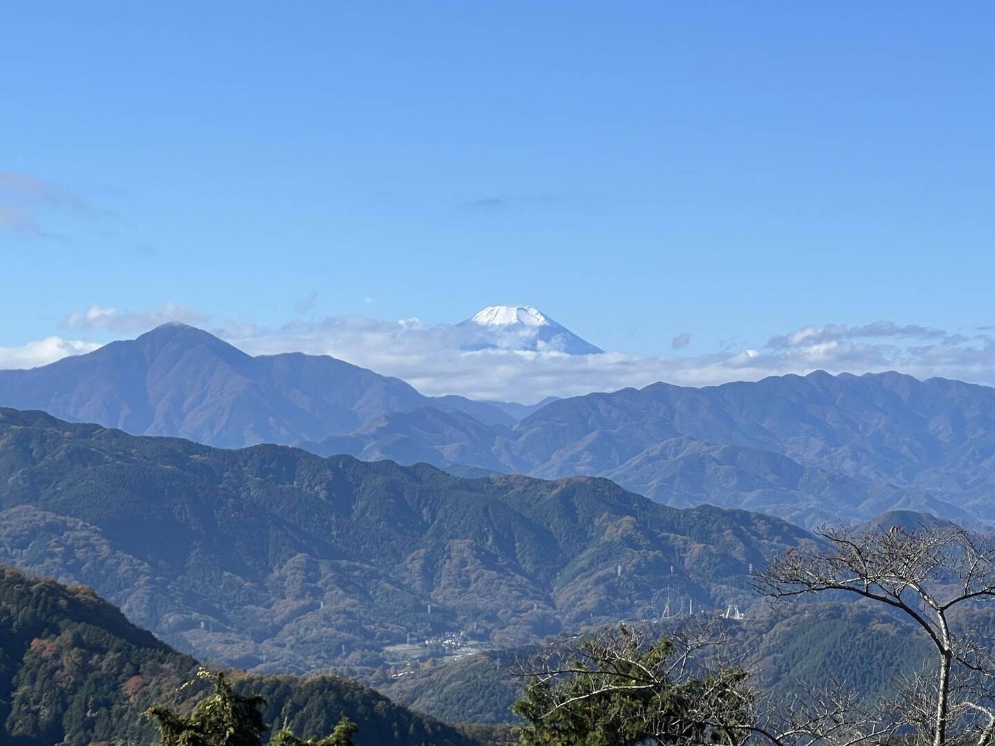 高尾6号路→小仏城山→小仏バス停 / SK-MATさんのウォーキングの活動データ | YAMAP / ヤマップ