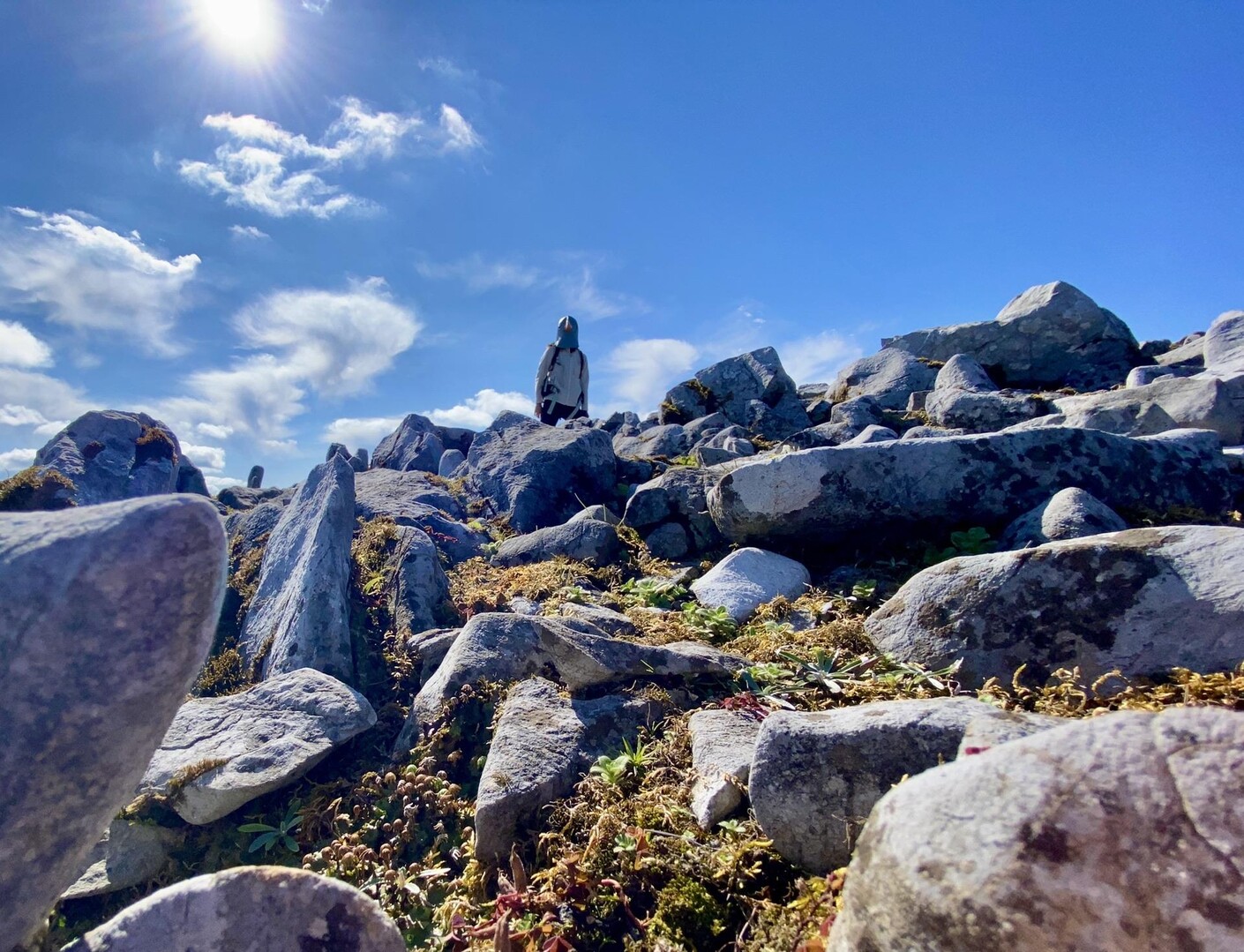 Ghost hermit 霊仙山 / ゆいPさんの霊仙山の活動データ | YAMAP / ヤマップ