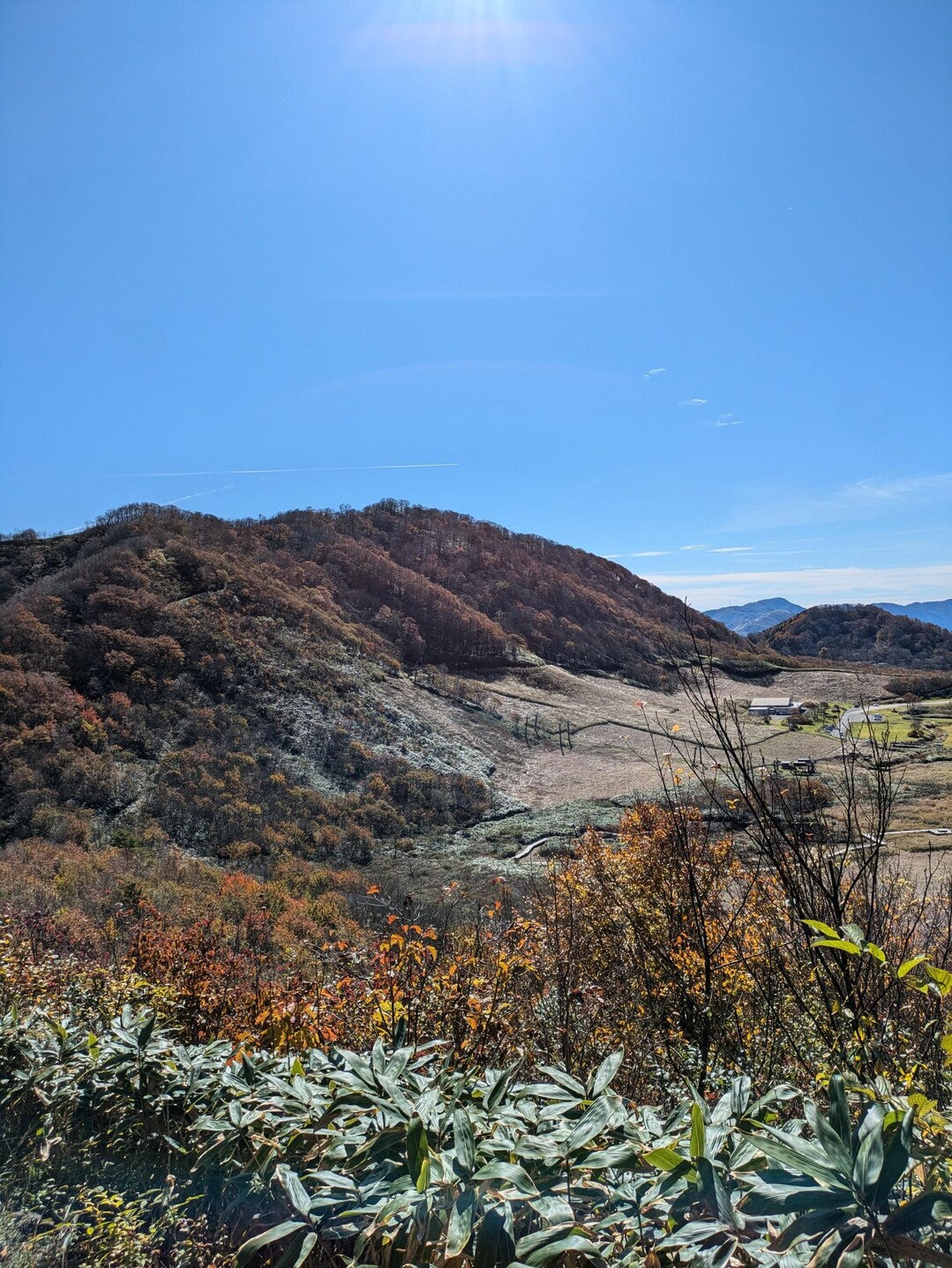 擬宝珠山・象山(笹ヶ峰) / Hi-Gurashiさんの烏ヶ山・象山（笹ヶ峰）の活動データ | YAMAP / ヤマップ