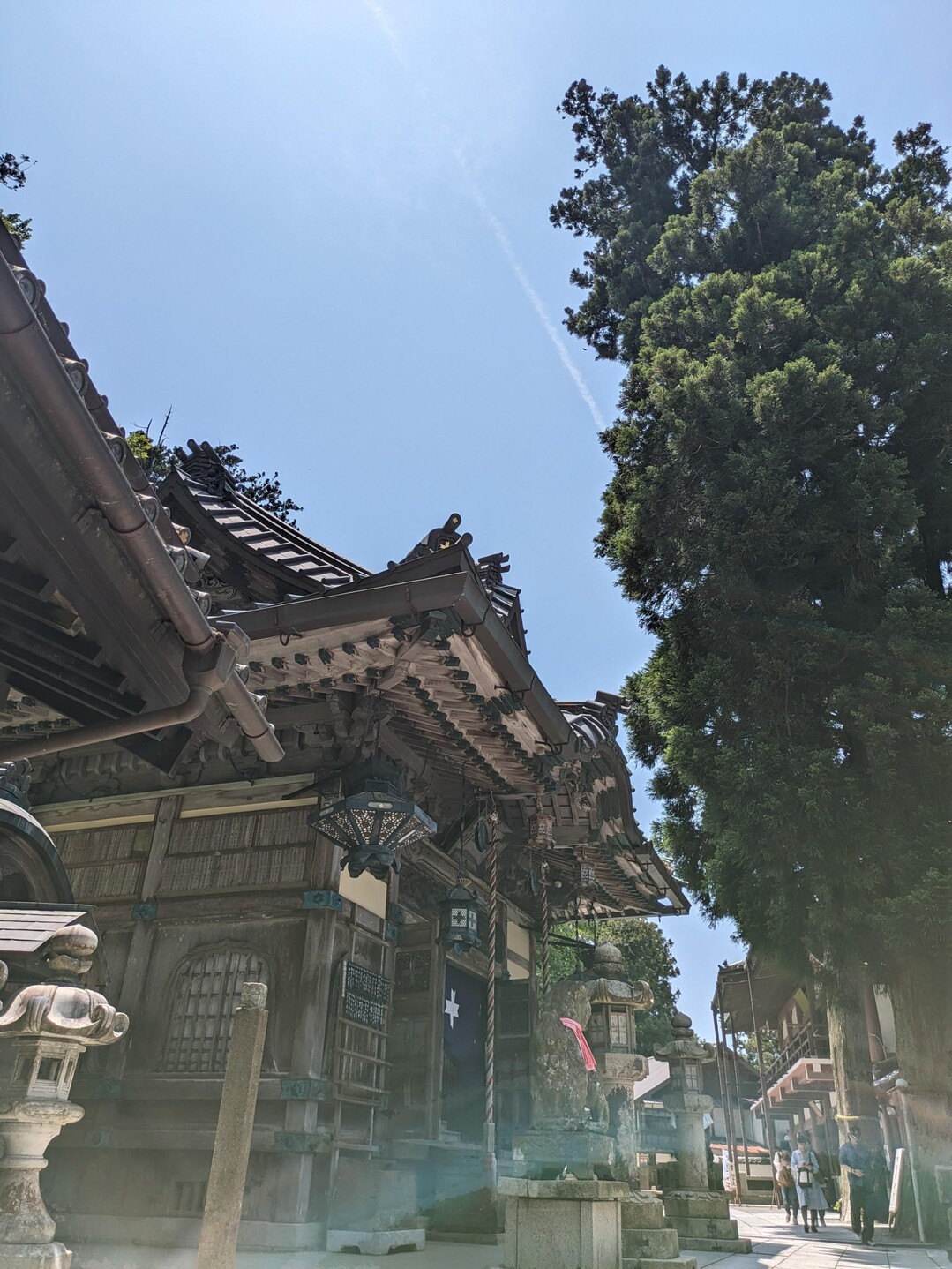 妙見山て想像以上に楽しい / noanoaさんの能勢妙見山・歌垣山・天台山の活動データ | YAMAP / ヤマップ