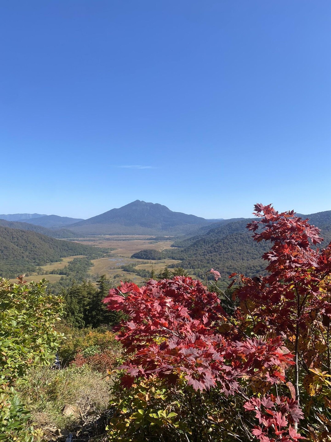 草紅葉 ️至仏山・小至仏山🍁 / Booさんの尾瀬・燧ヶ岳の活動データ | YAMAP / ヤマップ