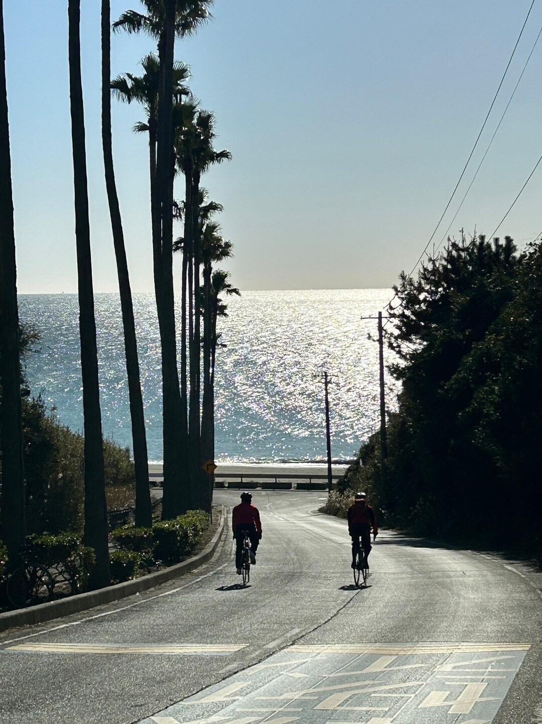2023.1.21土曜日 渥美半島へ東海... / oniraさんのモーメント | YAMAP / ヤマップ