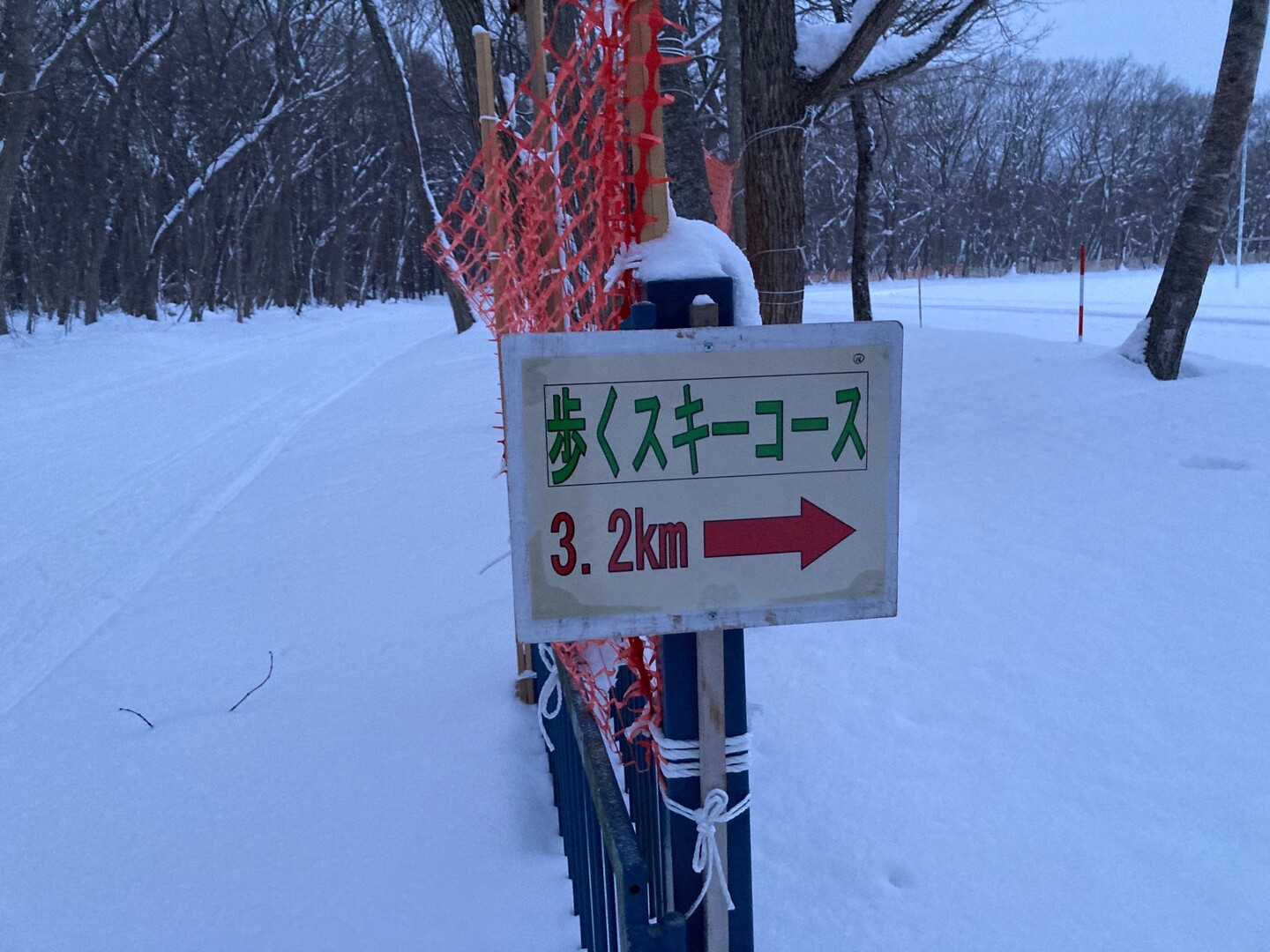 千歳市-青葉公園 クロスカントリースキー⛷ / 島ちゃん(島.RC)🌈さんの千歳市の活動データ | YAMAP / ヤマップ
