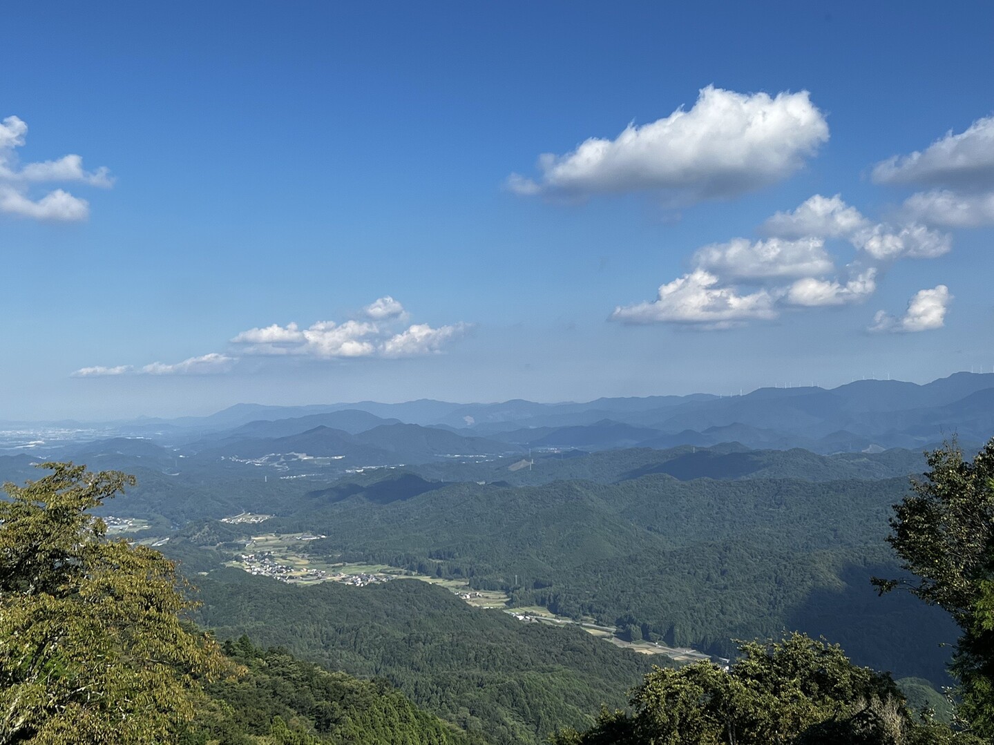 暑さに勝 ️第2ラウンド南猪子山・烏岳 / たけのこ zi ziさんの烏岳の活動データ | YAMAP / ヤマップ