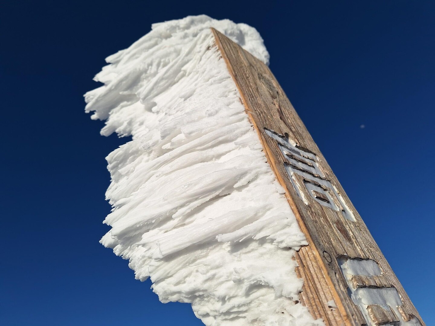 楢尾岳北稜 / CBR600RRさんの阿蘇山・高岳・根子岳の活動日記 | YAMAP / ヤマップ