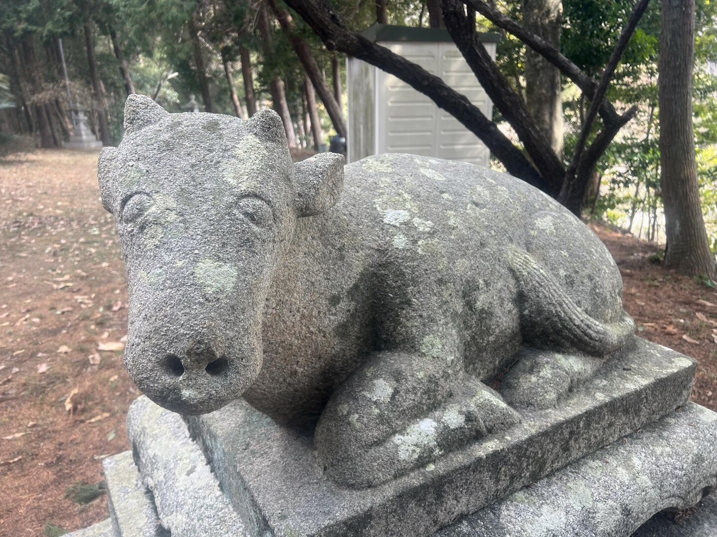 久米天神山・とおの山 / chobeeさんのとおの山・久米天神山の活動データ | YAMAP / ヤマップ