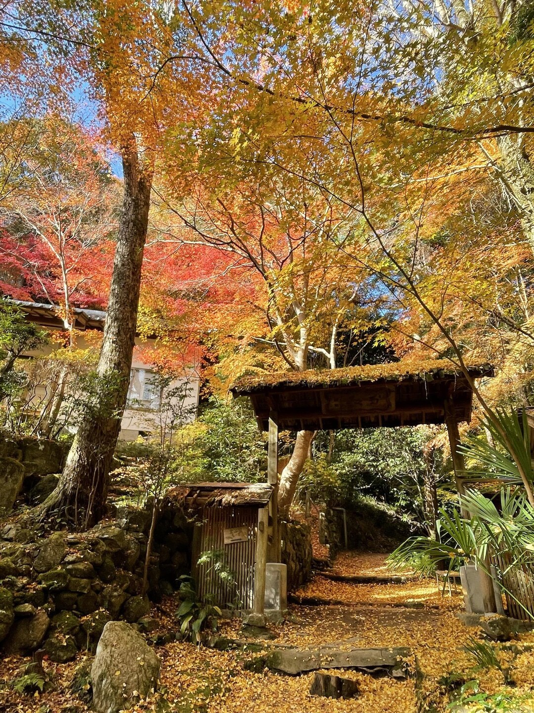二上山（雌岳）・二上山（雄岳） / まさよんさんの葛城修験エリアマップ（二上山周辺）の活動日記 | YAMAP / ヤマップ