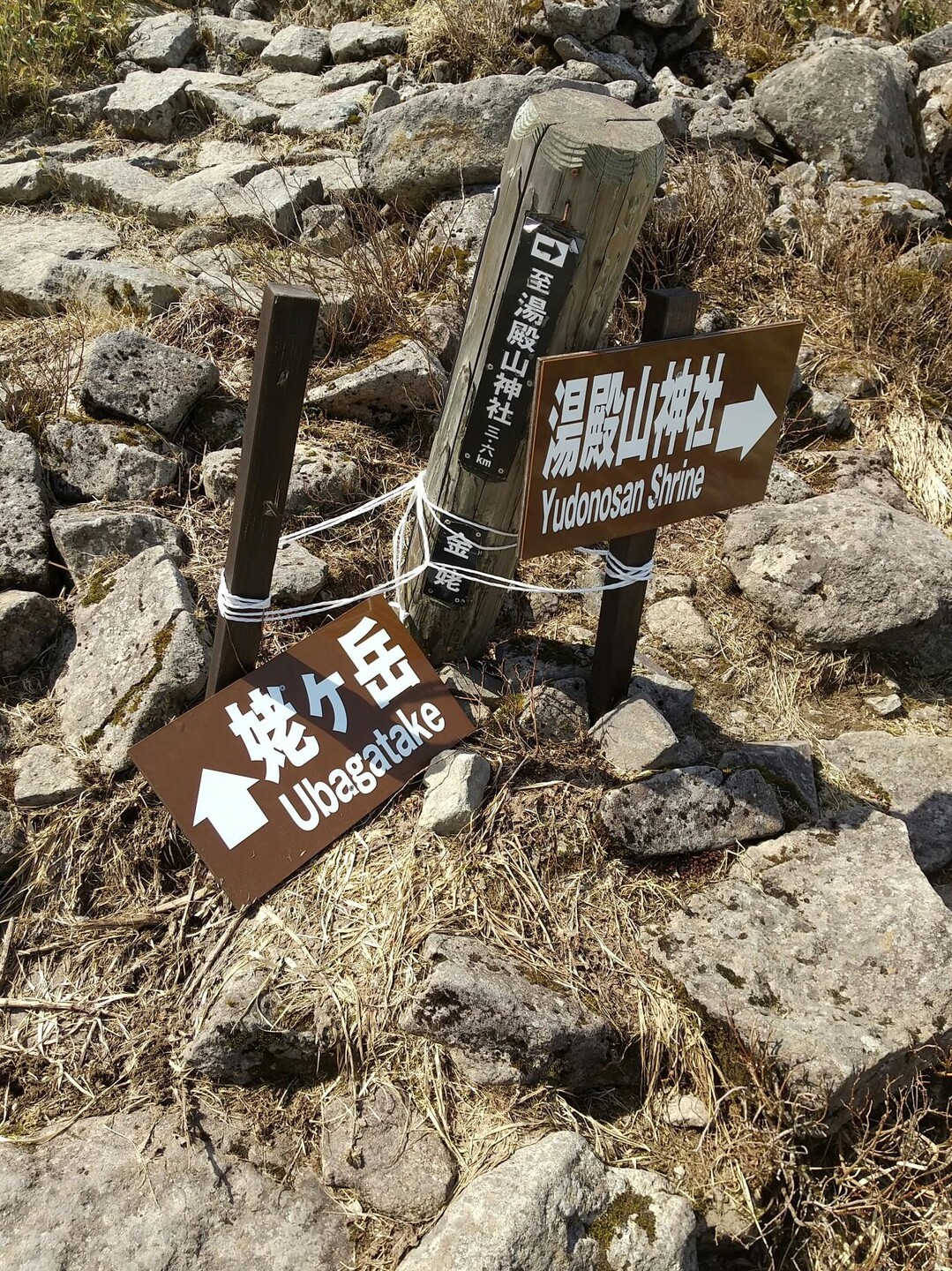 Guestさんの投稿したフィールドメモ | YAMAP / ヤマップ