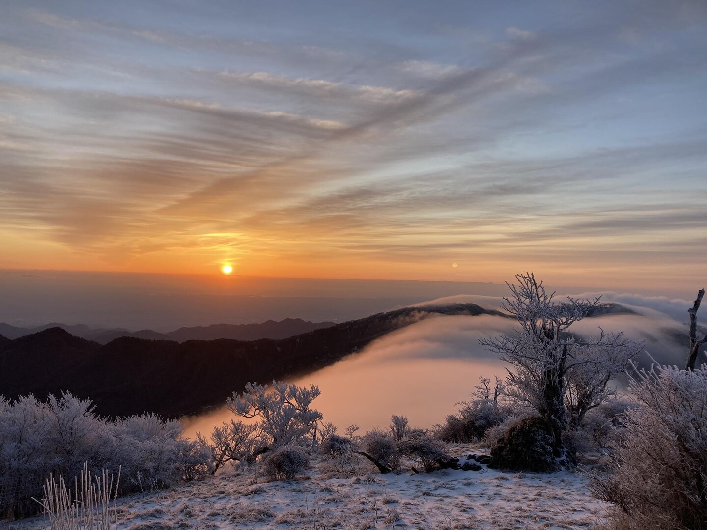 塔ノ岳・丹沢山・蛭ヶ岳・檜洞丸 / Hikaruさんの塔ノ岳・丹沢山・蛭ヶ岳の活動データ | YAMAP / ヤマップ