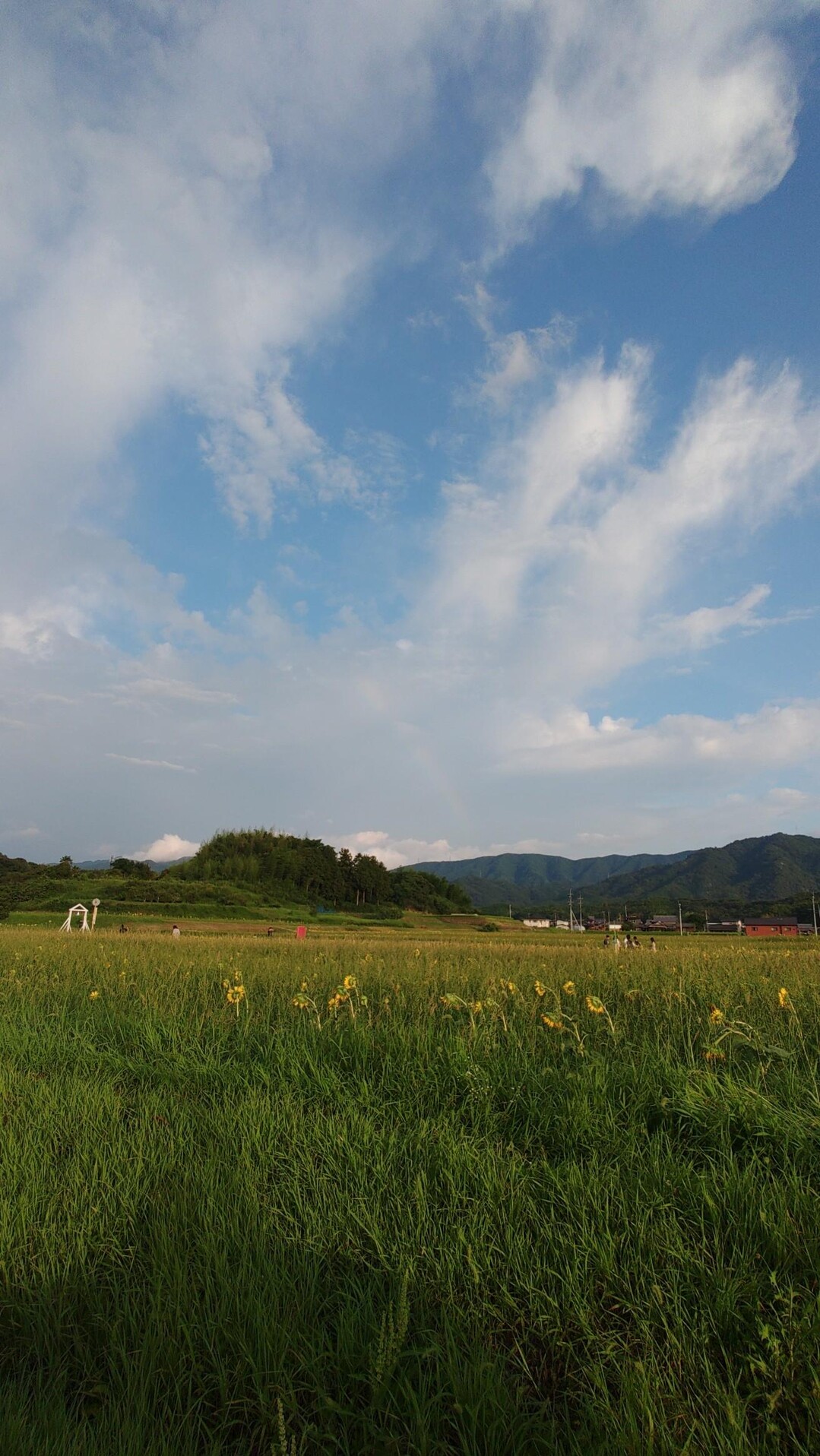 薄いですが久しぶりの虹とひまわり / Kazuさんのモーメント | YAMAP / ヤマップ