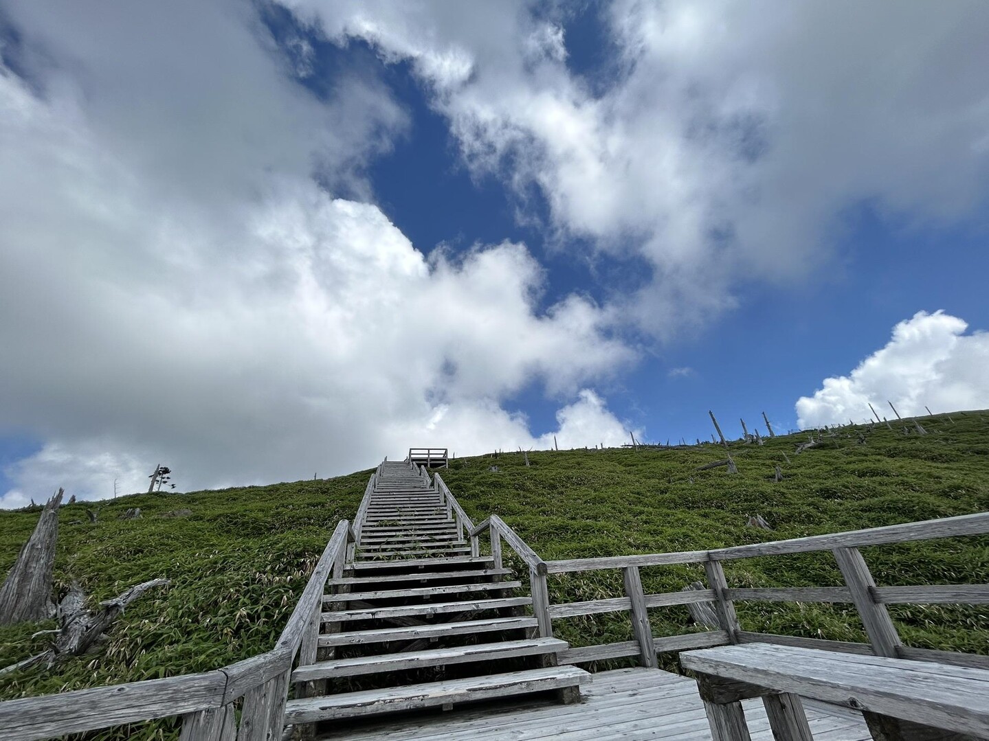 大台ヶ原山（日出ヶ岳） / KJさんの大台ヶ原山・日出ヶ岳・大杉谷の活動データ | YAMAP / ヤマップ