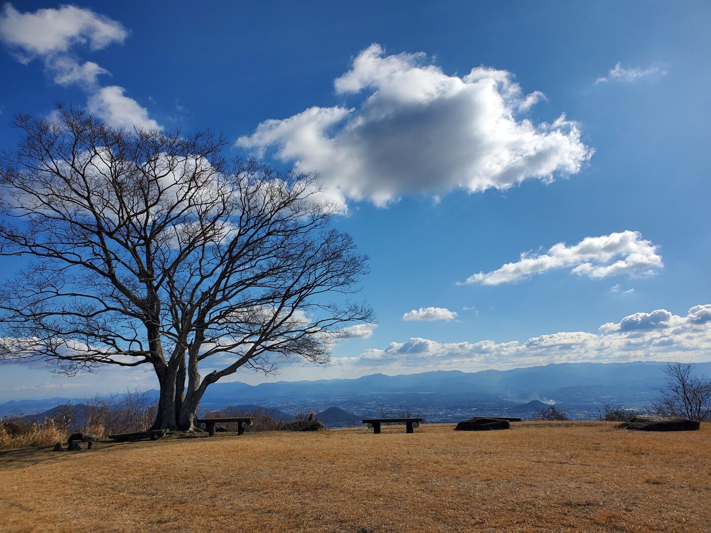 やっぱり城山🚶🏻 / かっし（damedame-boy）さんの城山・郷師山の活動データ | YAMAP / ヤマップ