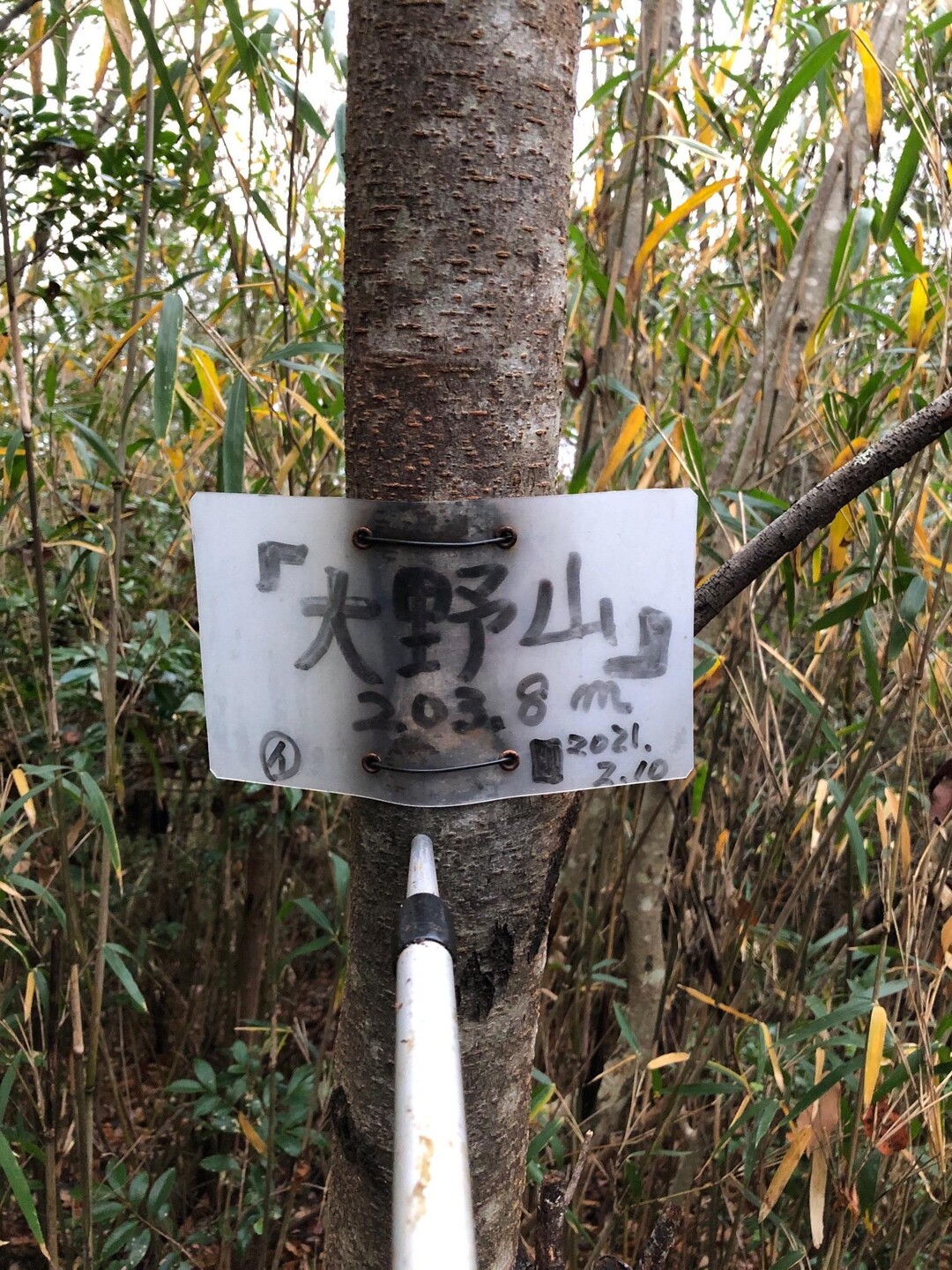 大野山 / Zak-Sanさんの三上山・大焼山の活動データ | YAMAP / ヤマップ