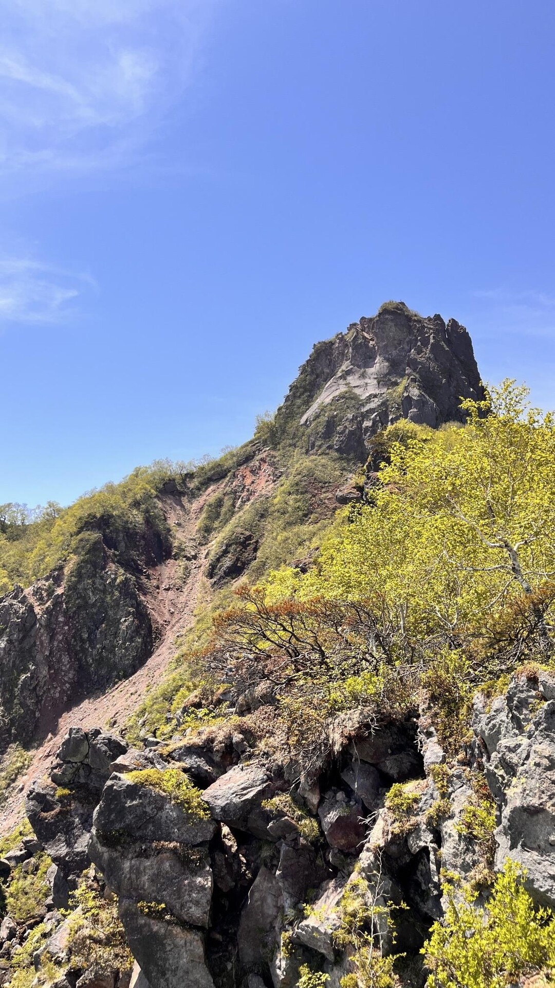 恵庭岳第二見晴台 絶景 / Mas. Tさんの恵庭岳の活動データ | YAMAP / ヤマップ