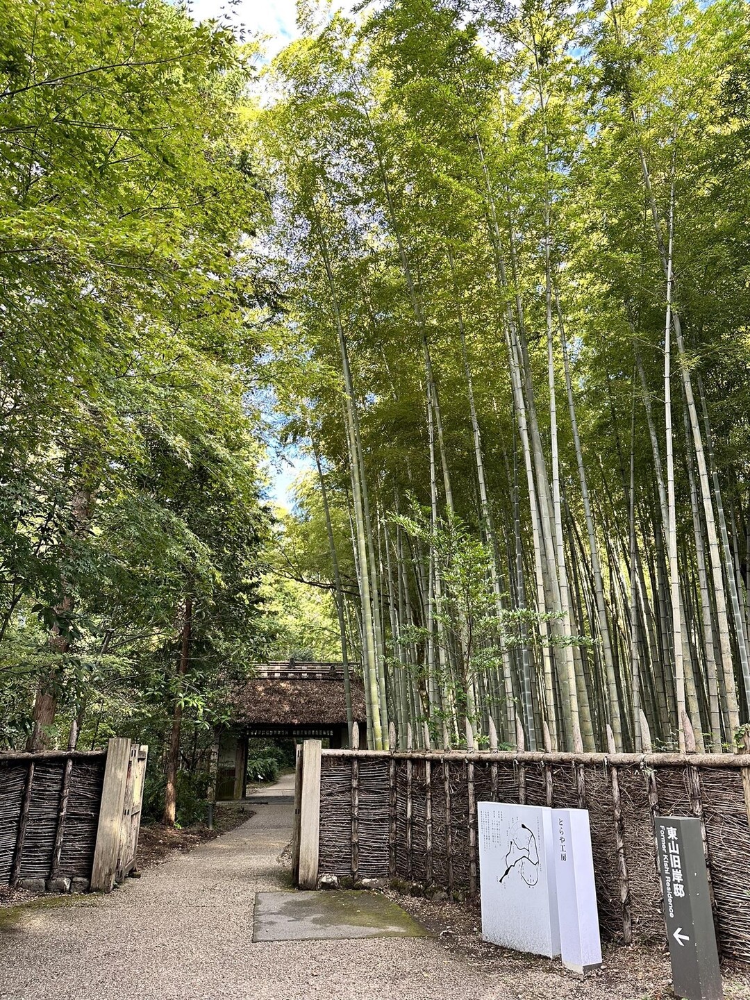 遠くから友達が泊まりに来たので、御殿場の... / uruさんのモーメント | YAMAP / ヤマップ