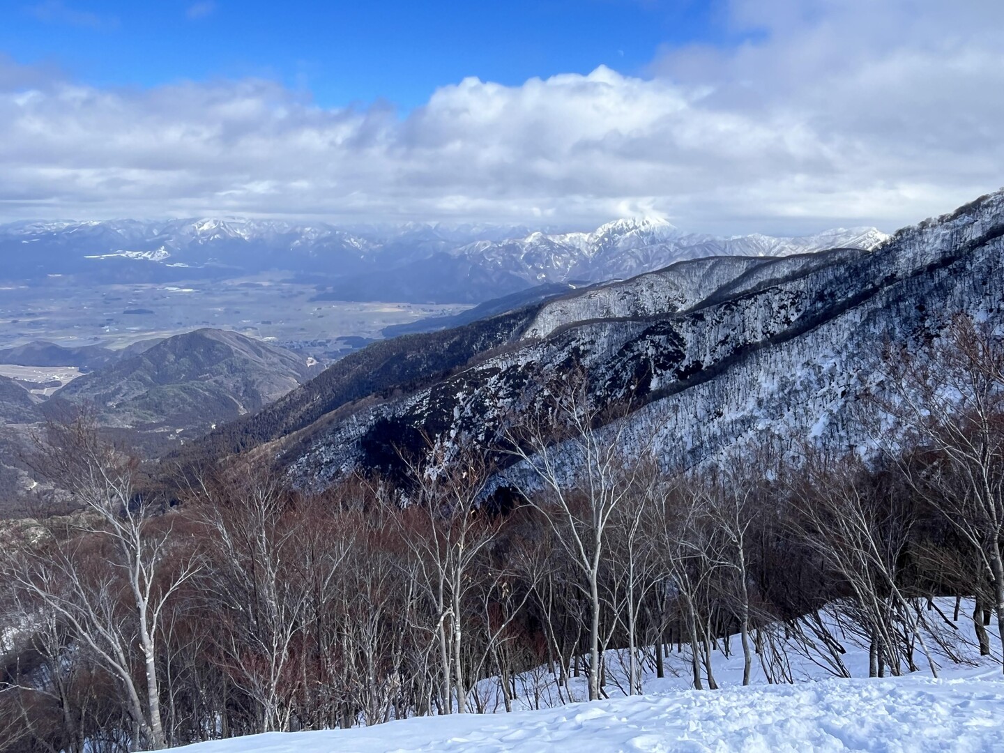 前山・銀杏峯 / プリン103さんの銀杏峰・部子山の活動データ | YAMAP / ヤマップ