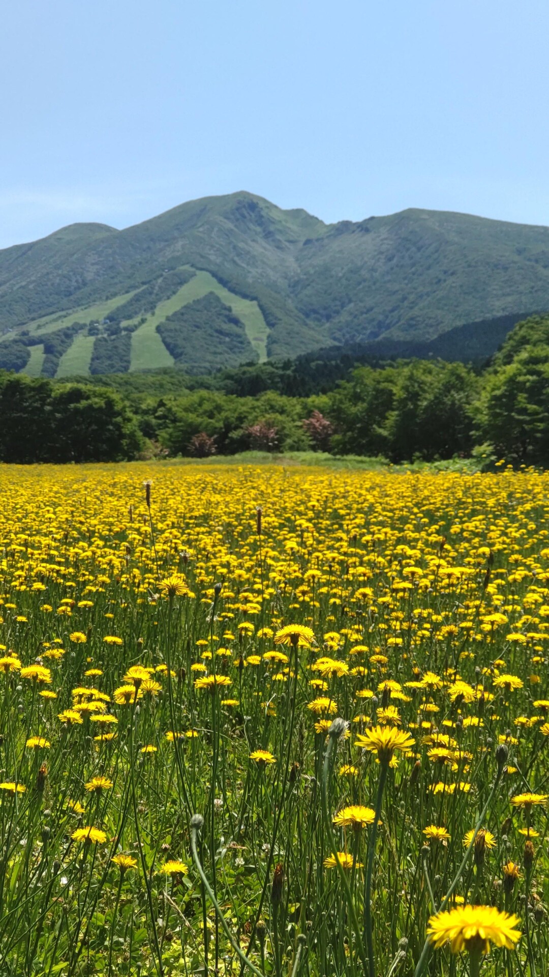 1週間 東北🚙旅して来ました。 🏔... / sachiさんのモーメント | YAMAP / ヤマップ