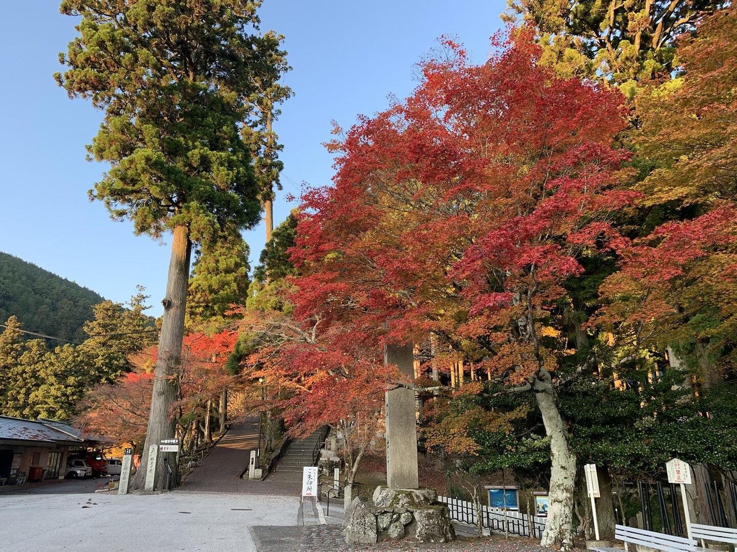 大比叡・大文字山・長等山 / noeさんの京都一周トレイルの活動データ | YAMAP / ヤマップ