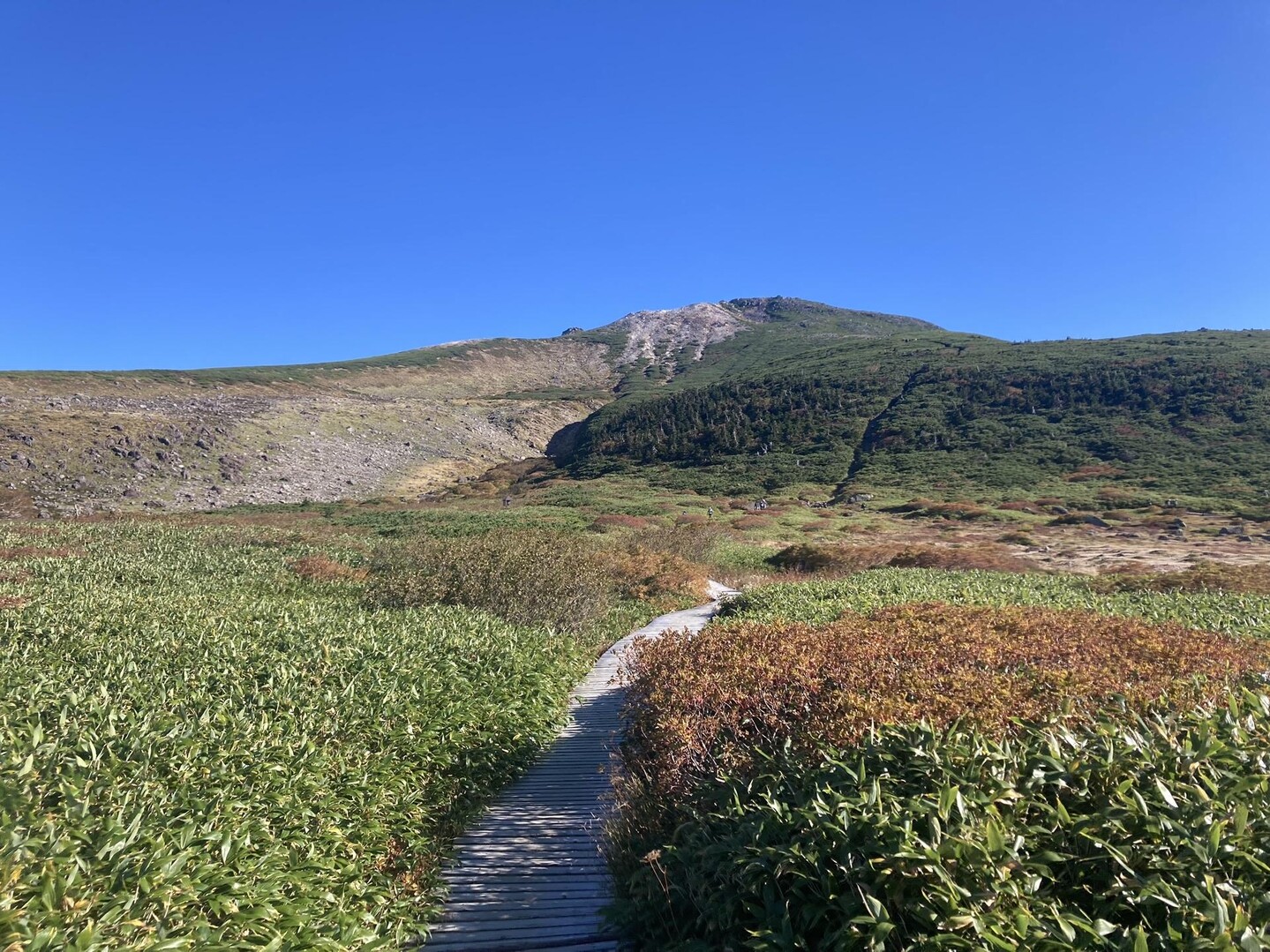 白山（御前峰） / hikaさんの白山・別山・銚子ヶ峰の活動データ | YAMAP / ヤマップ