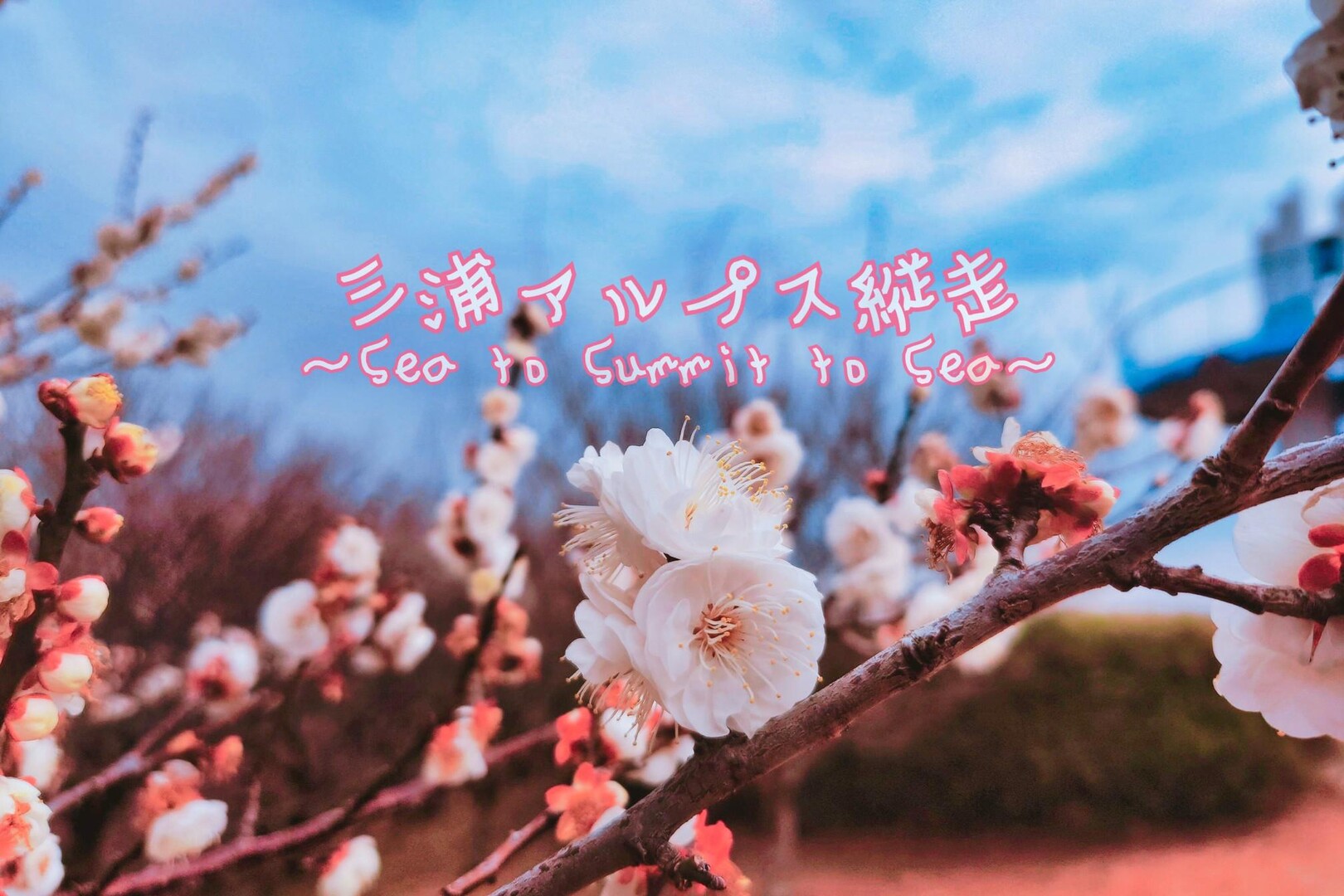 三浦アルプス縦走👣～Sea to Summit to Sea～ / Riot Kさんの三浦アルプス・二子山・仙元山の活動データ | YAMAP / ヤマップ