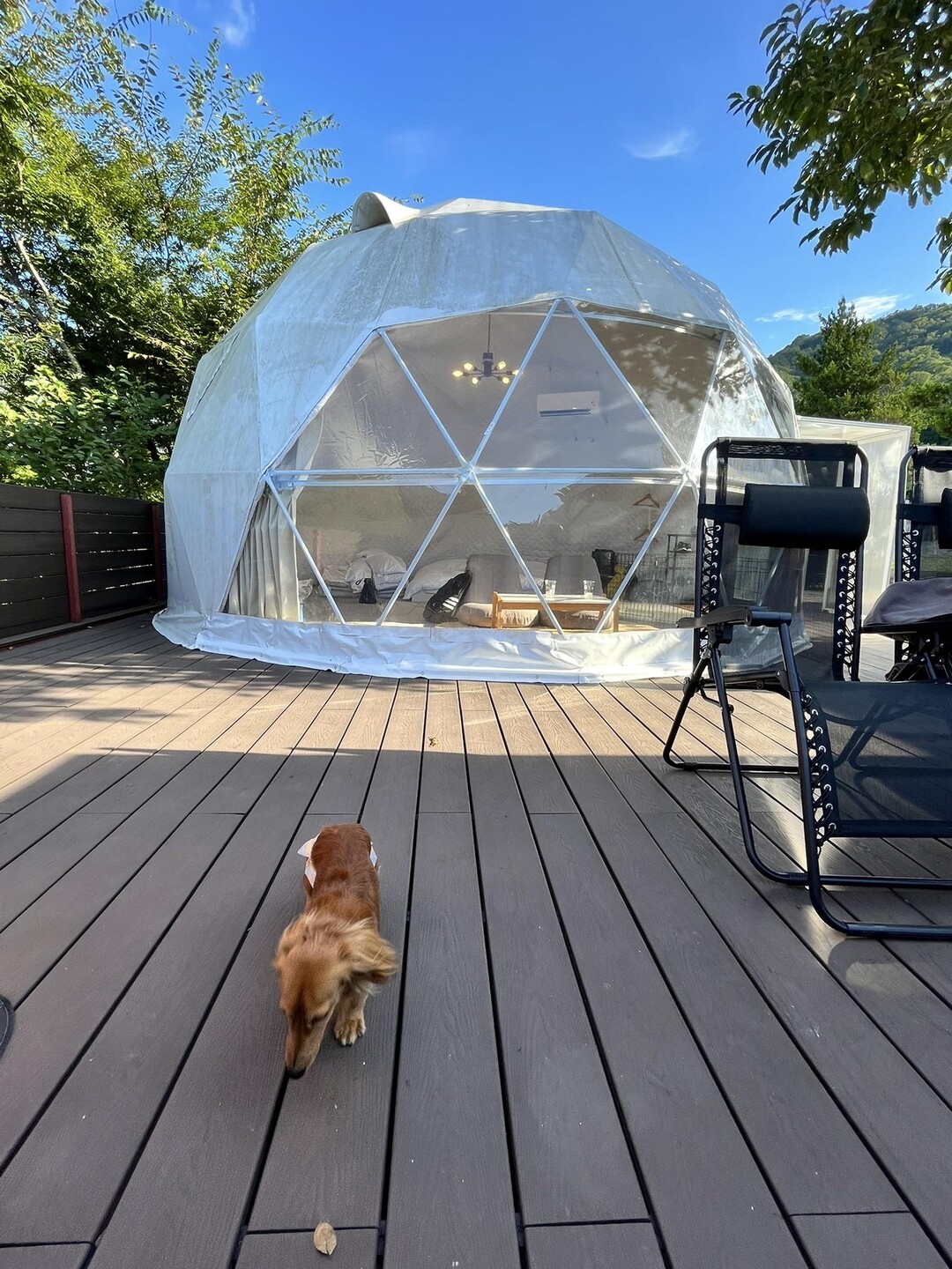 ダックス連れて、グランピングに来ました。... / leoleonさんのモーメント | YAMAP / ヤマップ