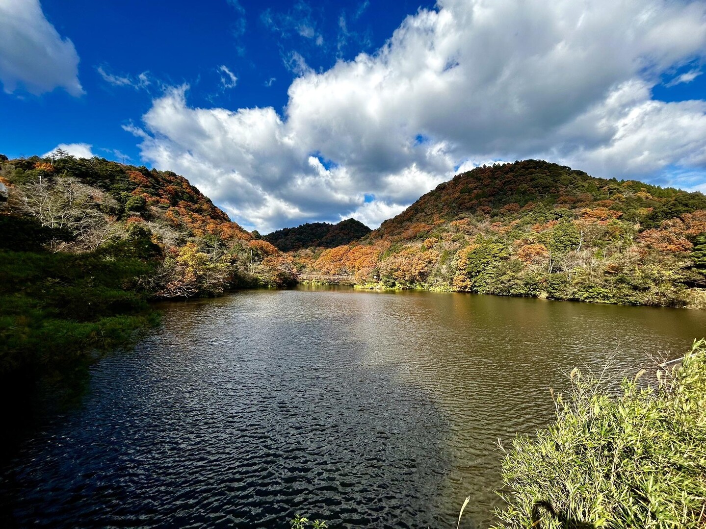 観音山🐶🍁 / Nandoさんの羽黒山・筆捨山・観音山の活動データ | YAMAP / ヤマップ