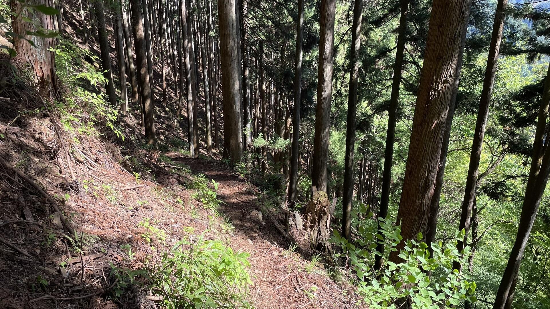 KSさんの投稿したフィールドメモ | YAMAP / ヤマップ