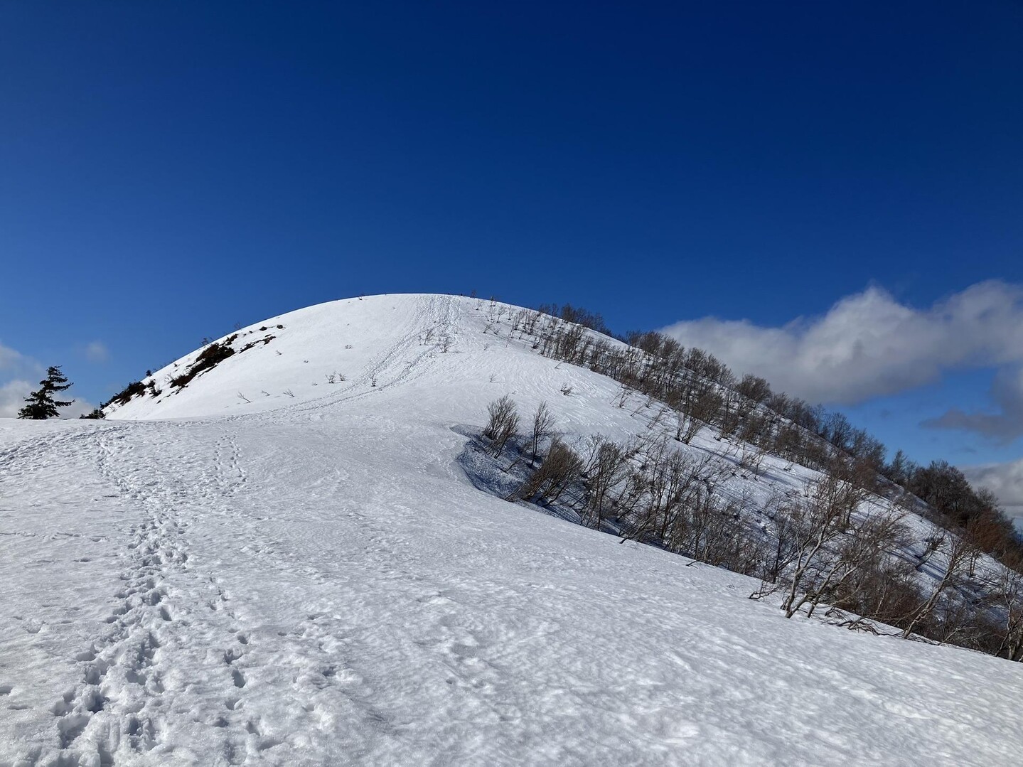 1週間ぶりの取立山・原高山 / Live 4 todayさんの取立山の活動データ | YAMAP / ヤマップ