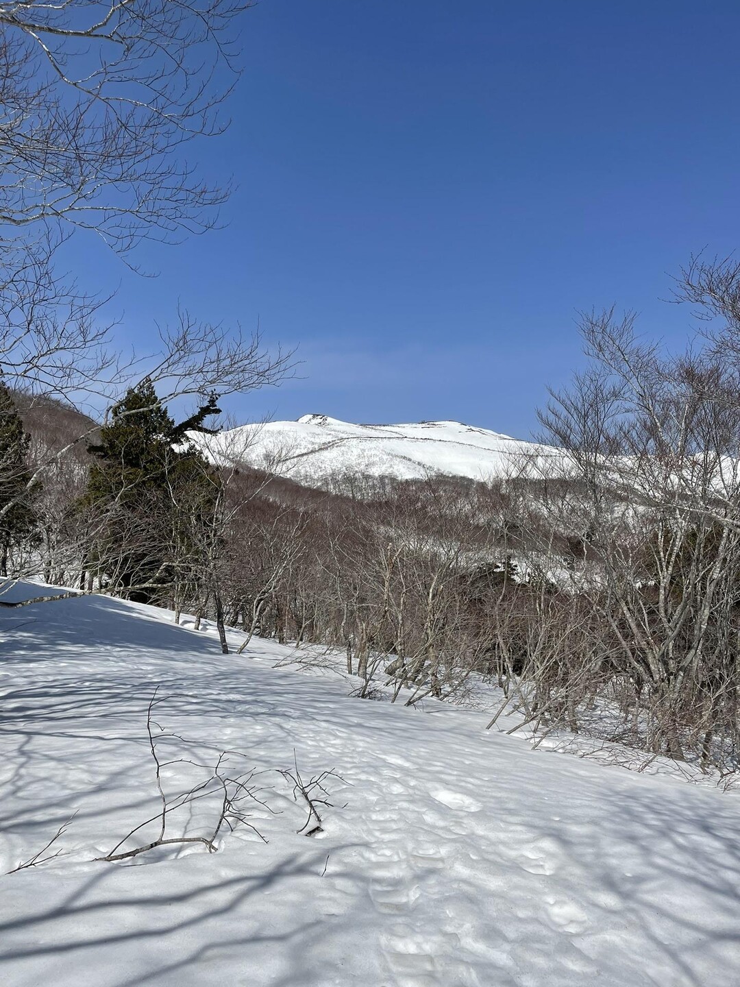 船形山 蛇ヶ岳 / siroさんの船形山（御所山）・泉ヶ岳・蛇ヶ岳の活動データ | YAMAP / ヤマップ