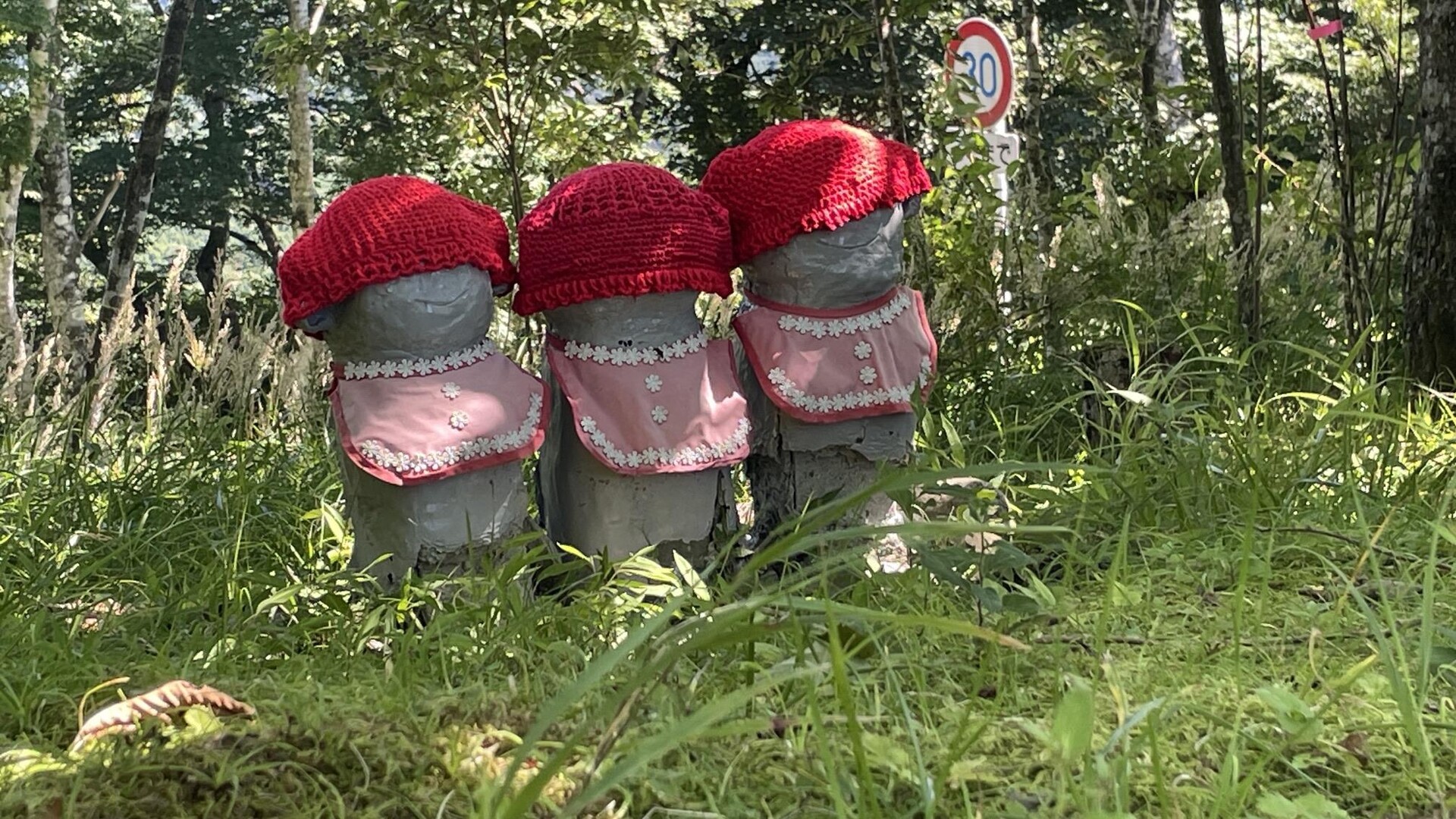 【手ぬぐい】三国山 明神峠 楢木山 【富士箱根トレイル】 / YOUKOWさんの三国山・大洞山・不老山の活動データ | YAMAP / ヤマップ