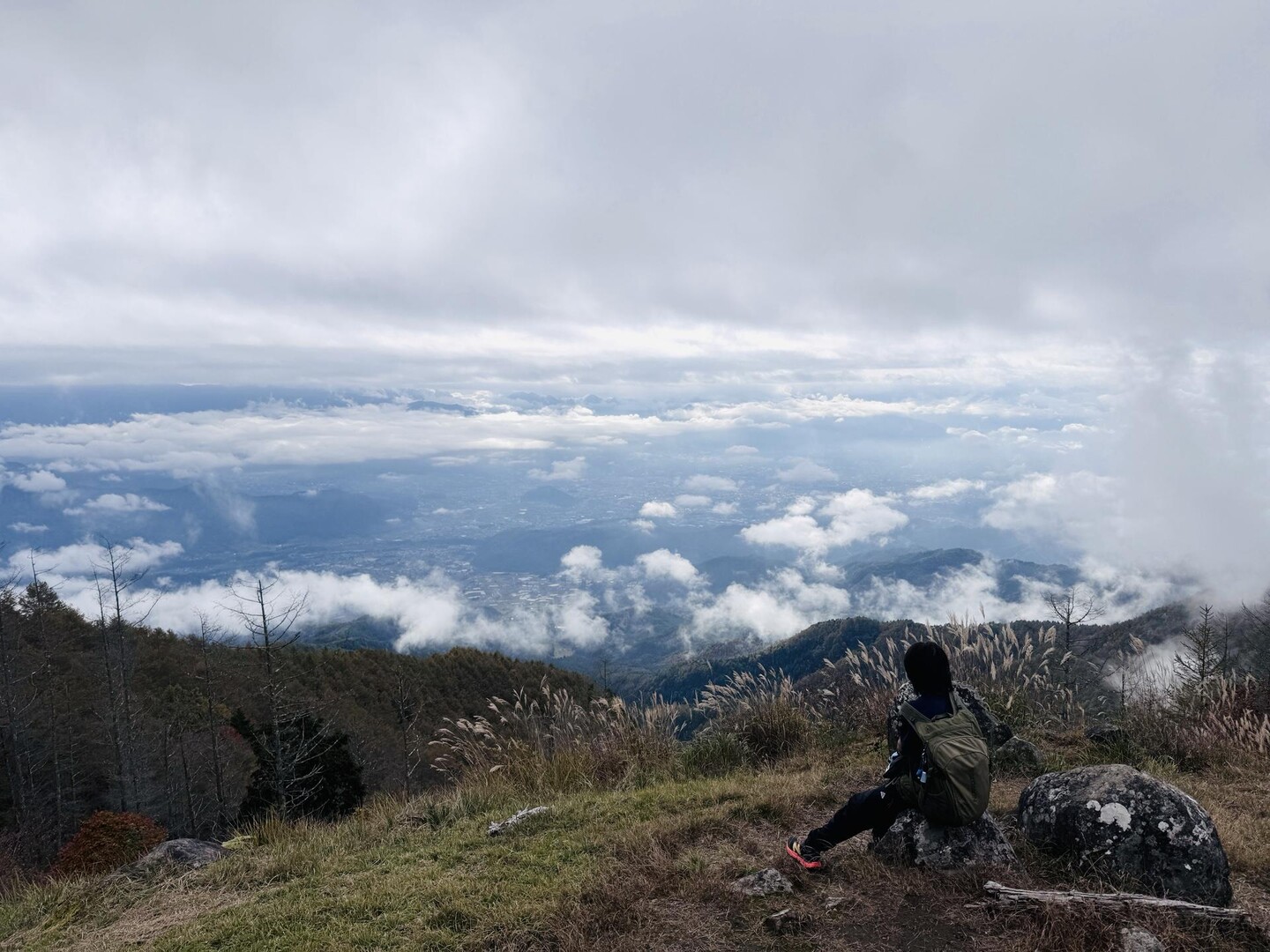 息子と2人で小楢山 やまなし県央2024 「山」 / syu8_PPさんの小楢山・妙見山・乙女高原の活動データ | YAMAP / ヤマップ