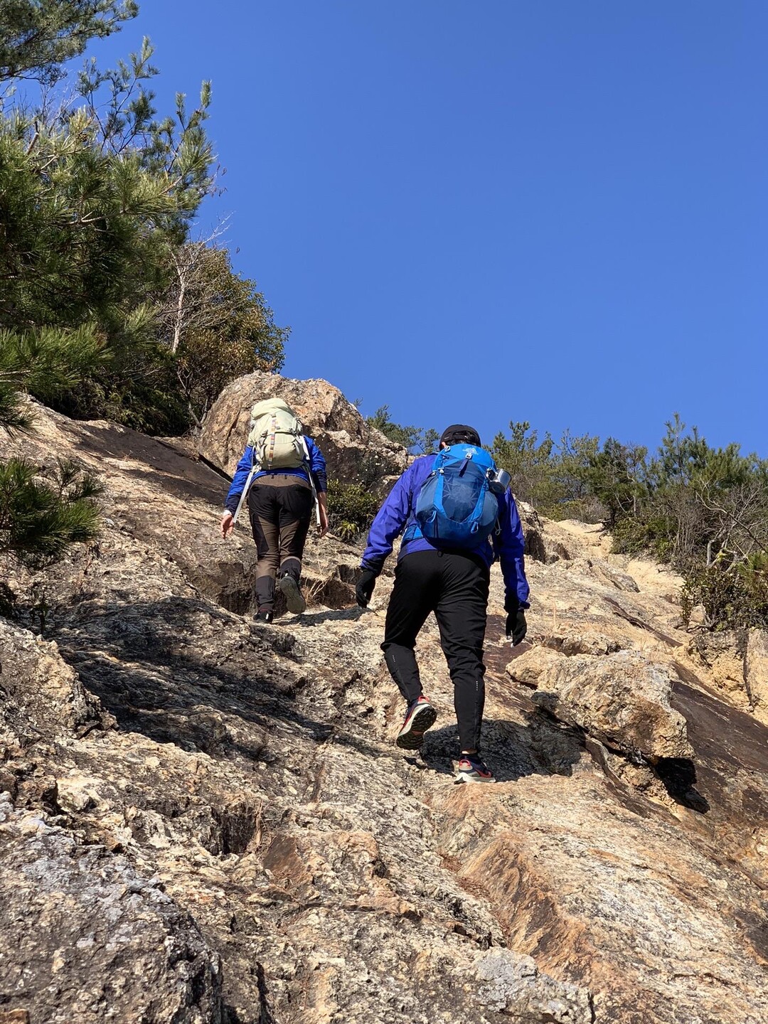 3.10 ハイキング下見 北雲雀きずきの森、宝塚ロックガーデン / hikkyさんの中山・大峰山の活動データ | YAMAP / ヤマップ