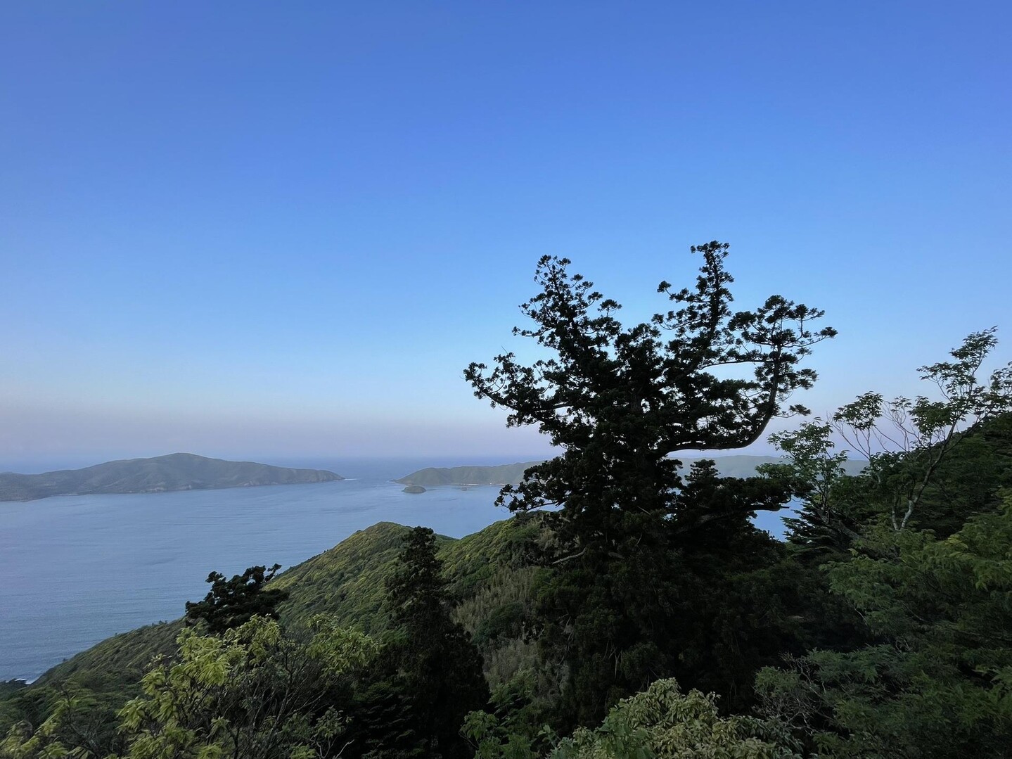 焼火山 / なべ(ワンゲルOB)さんの隠岐諸島・島前の活動データ | YAMAP / ヤマップ