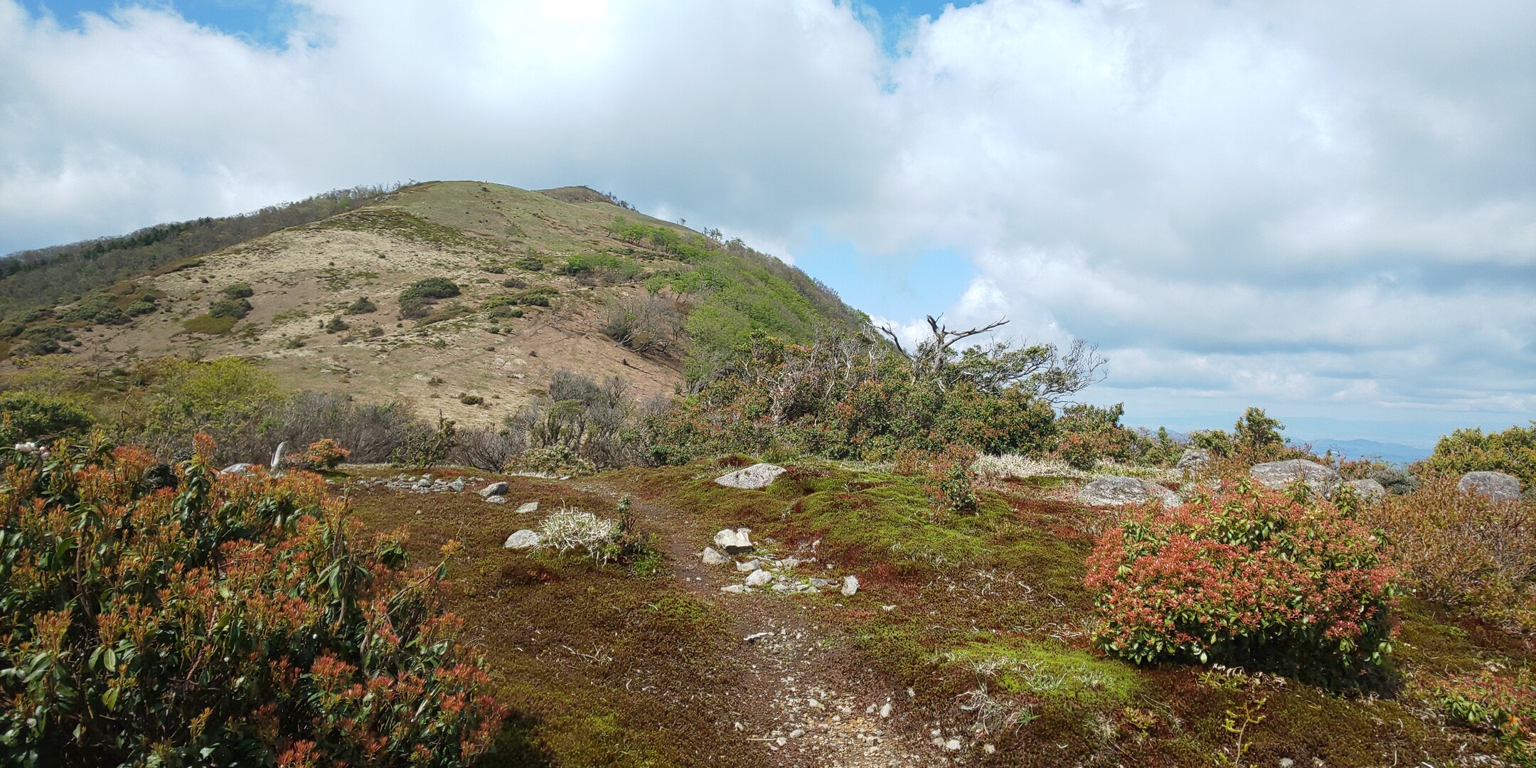 satohさんの投稿したフィールドメモ | YAMAP / ヤマップ