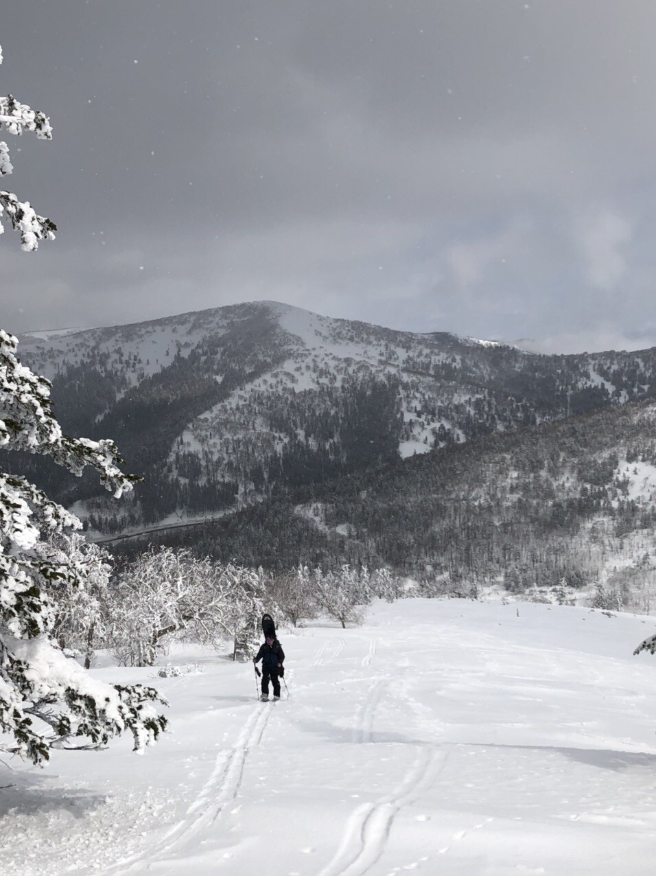 FUMIのページ | YAMAP / ヤマップ
