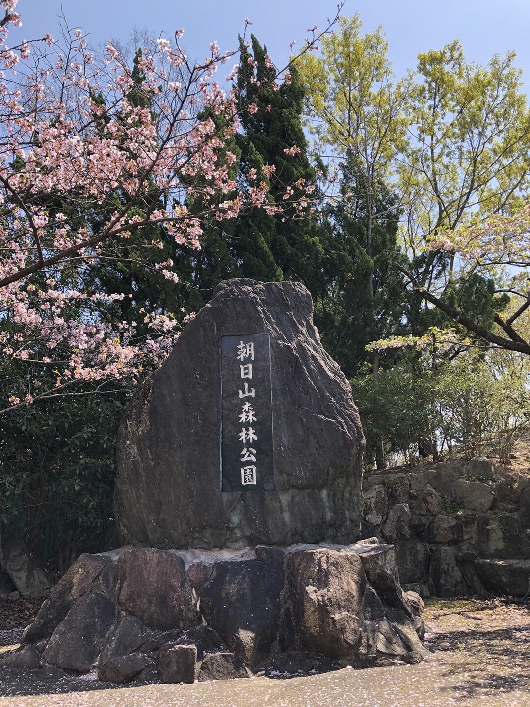 朝日山公園に行ってきました。県内でも有数... / akiさんのモーメント | YAMAP / ヤマップ