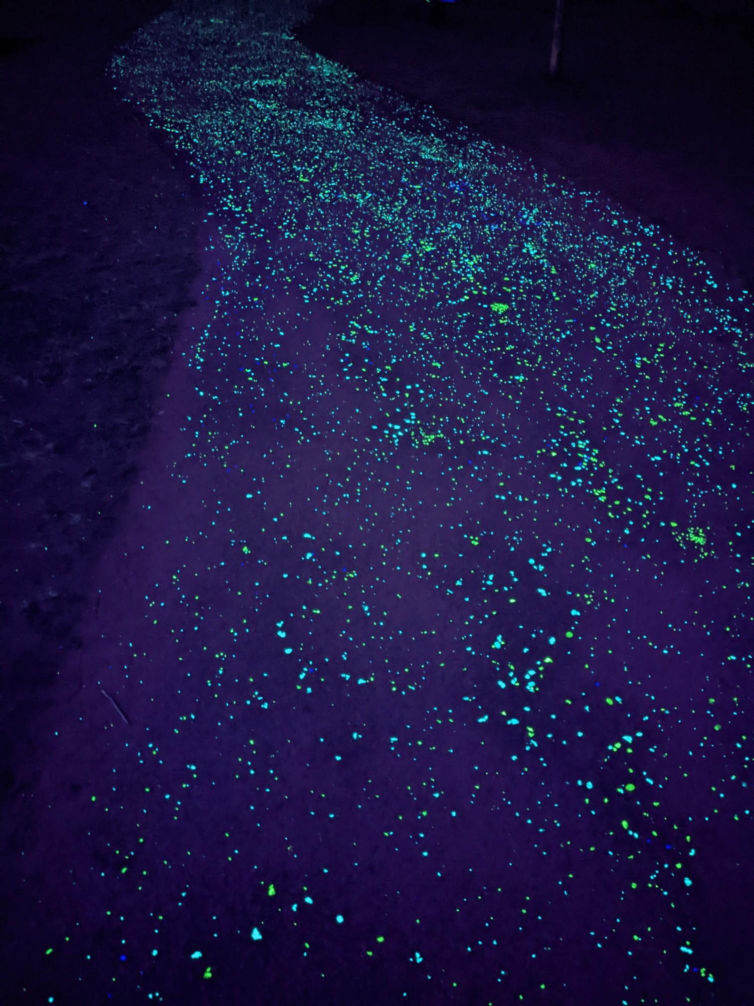 六甲キャノンボールPower宝塚スタート DNF / YUDAI/BIGさんの六甲山・長峰山・摩耶山の活動データ | YAMAP / ヤマップ