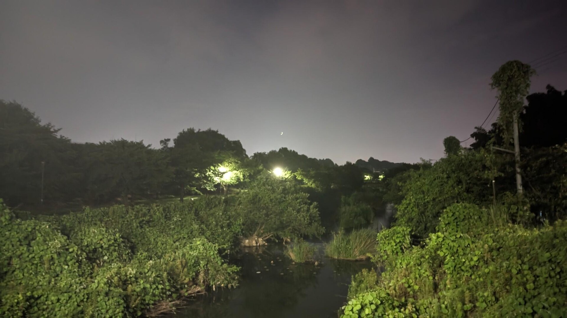 手賀沼ランニング-2023-07-09 / TK54さんのランニングの活動データ | YAMAP / ヤマップ